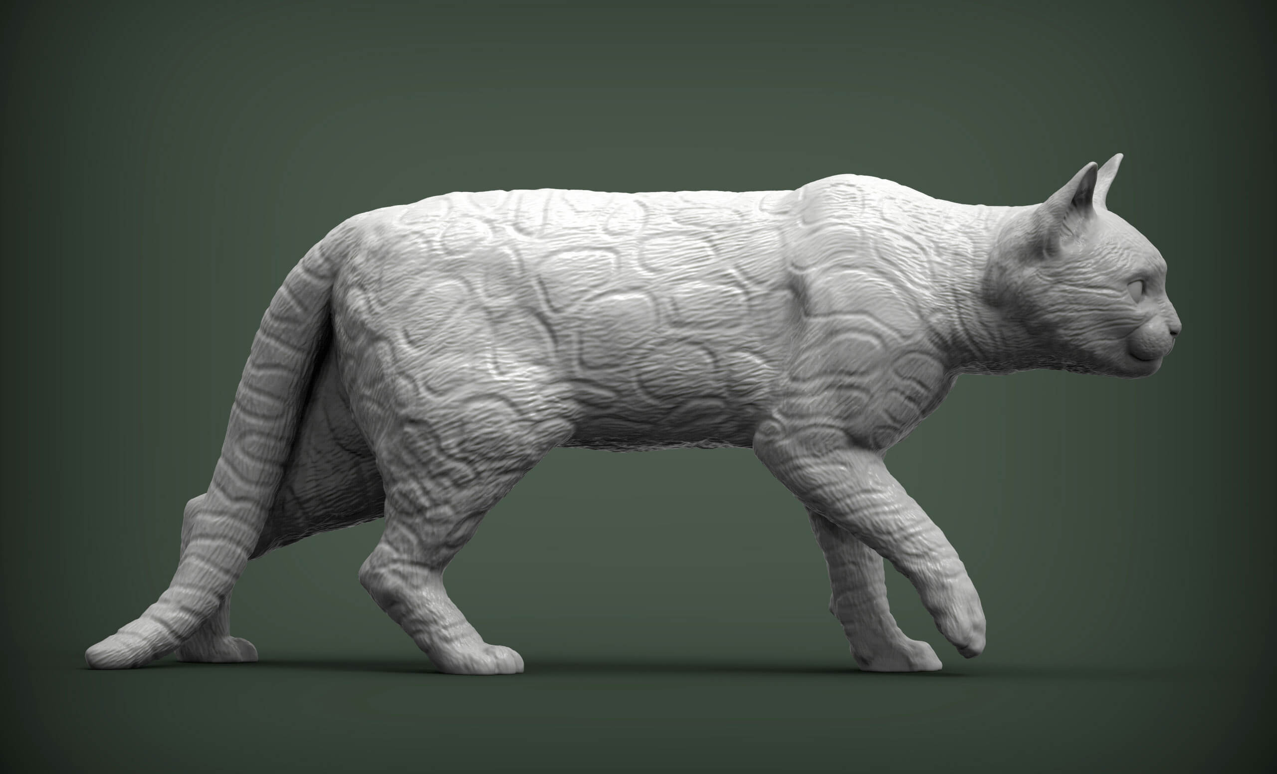 Bengal Cat 3D Print Model by Alexander3dart