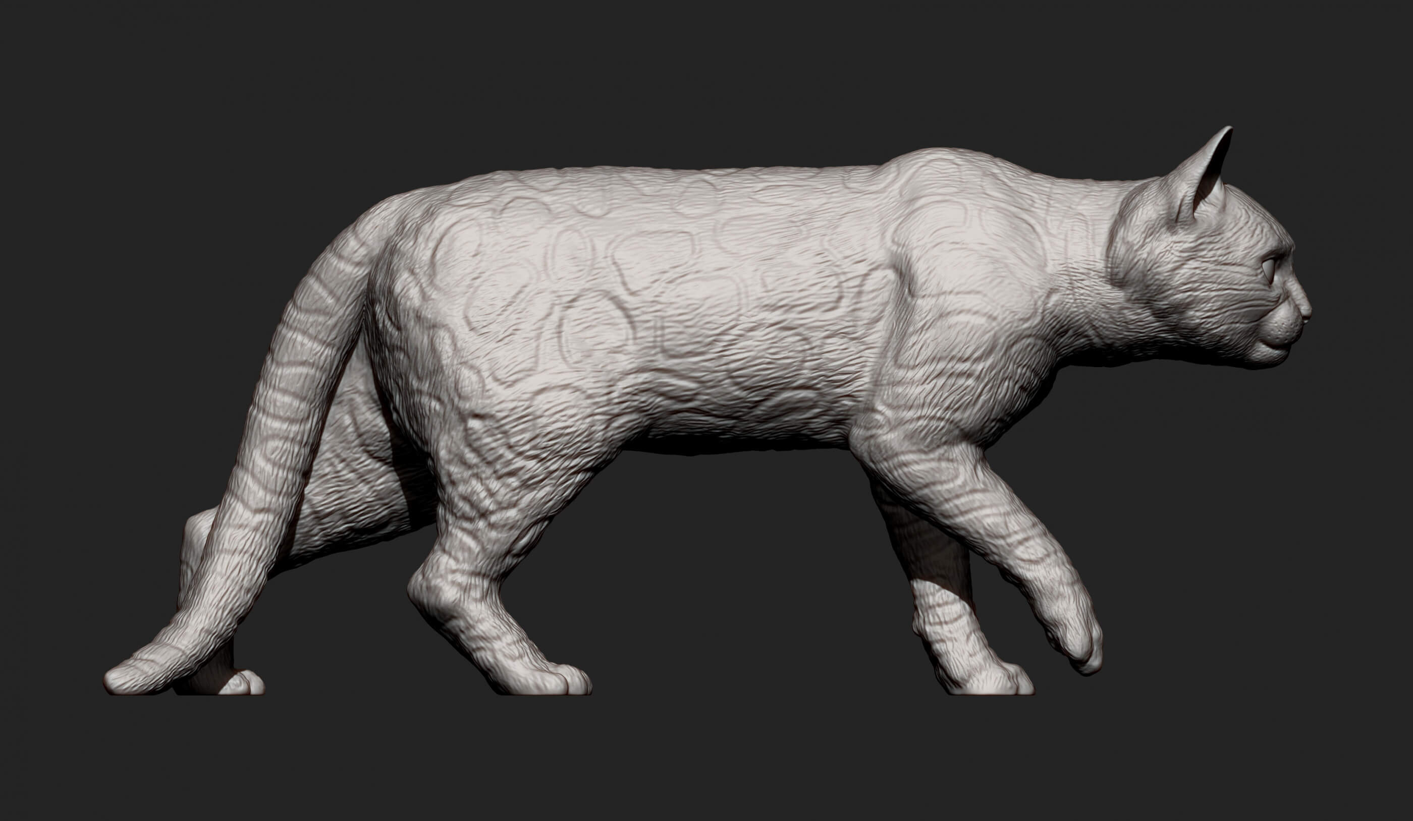 Bengal Cat 3D Print Model by Alexander3dart