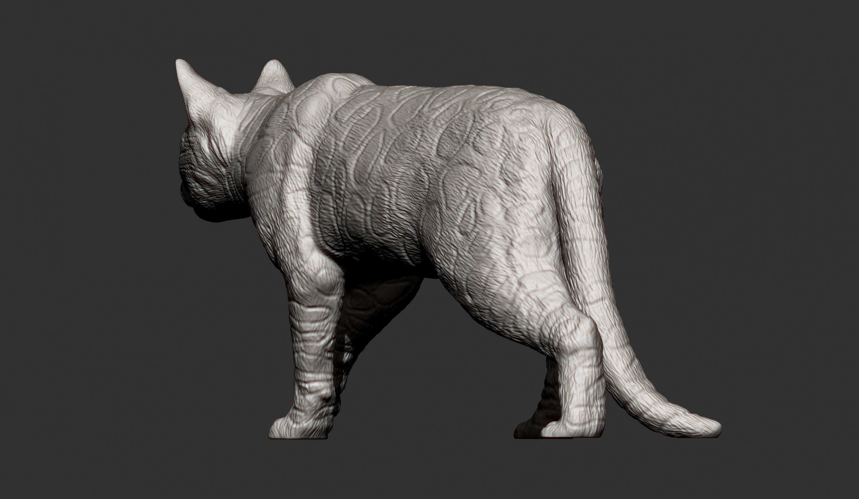 Bengal Cat 3D Print Model by Alexander3dart