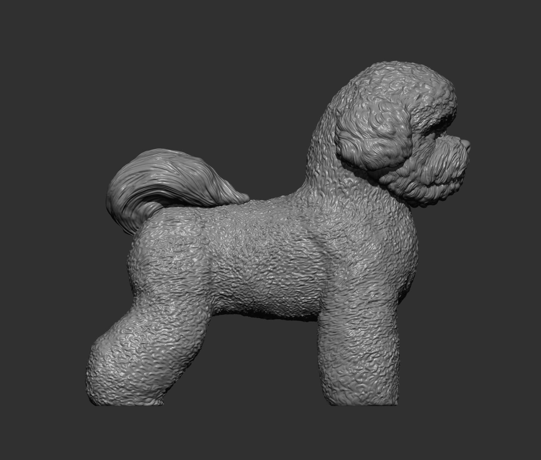 Bichon Frise 3D Print Model by Alexander3dart