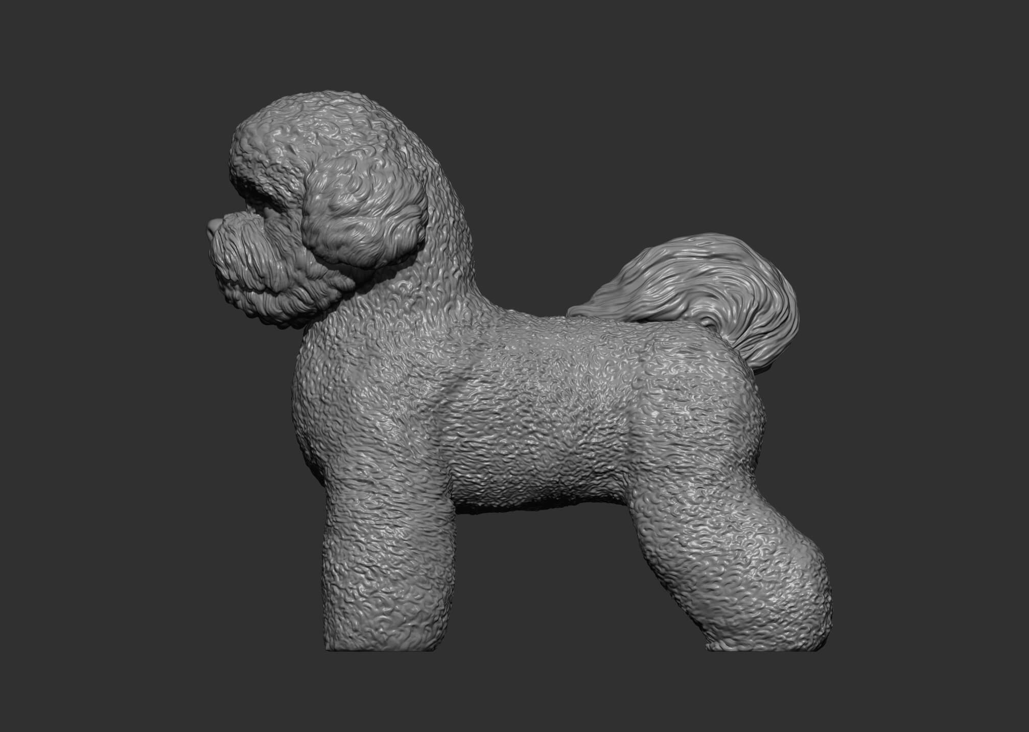Bichon Frise 3D Print Model by Alexander3dart