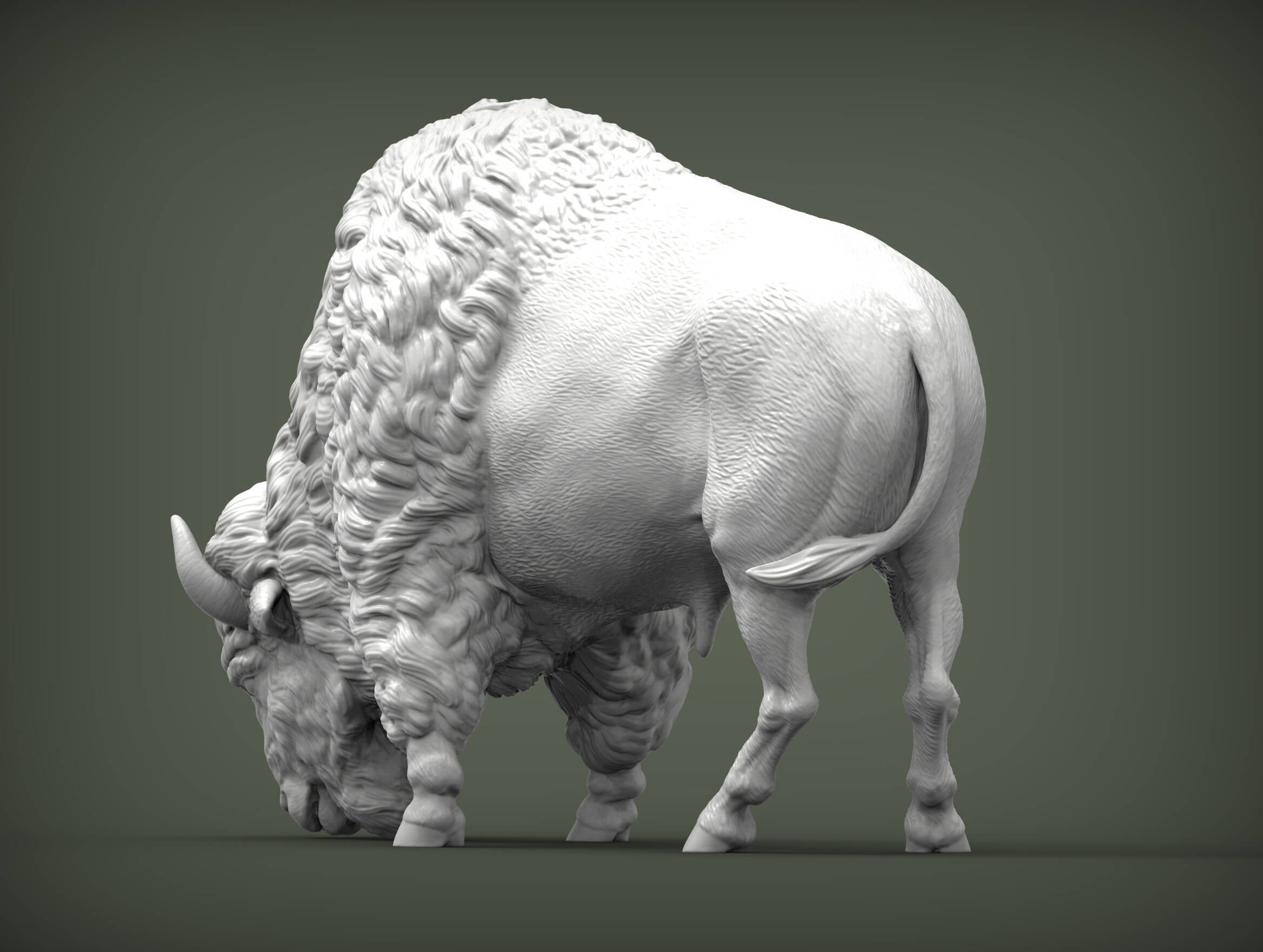 Bison 3D Print Model by Alexander3dart
