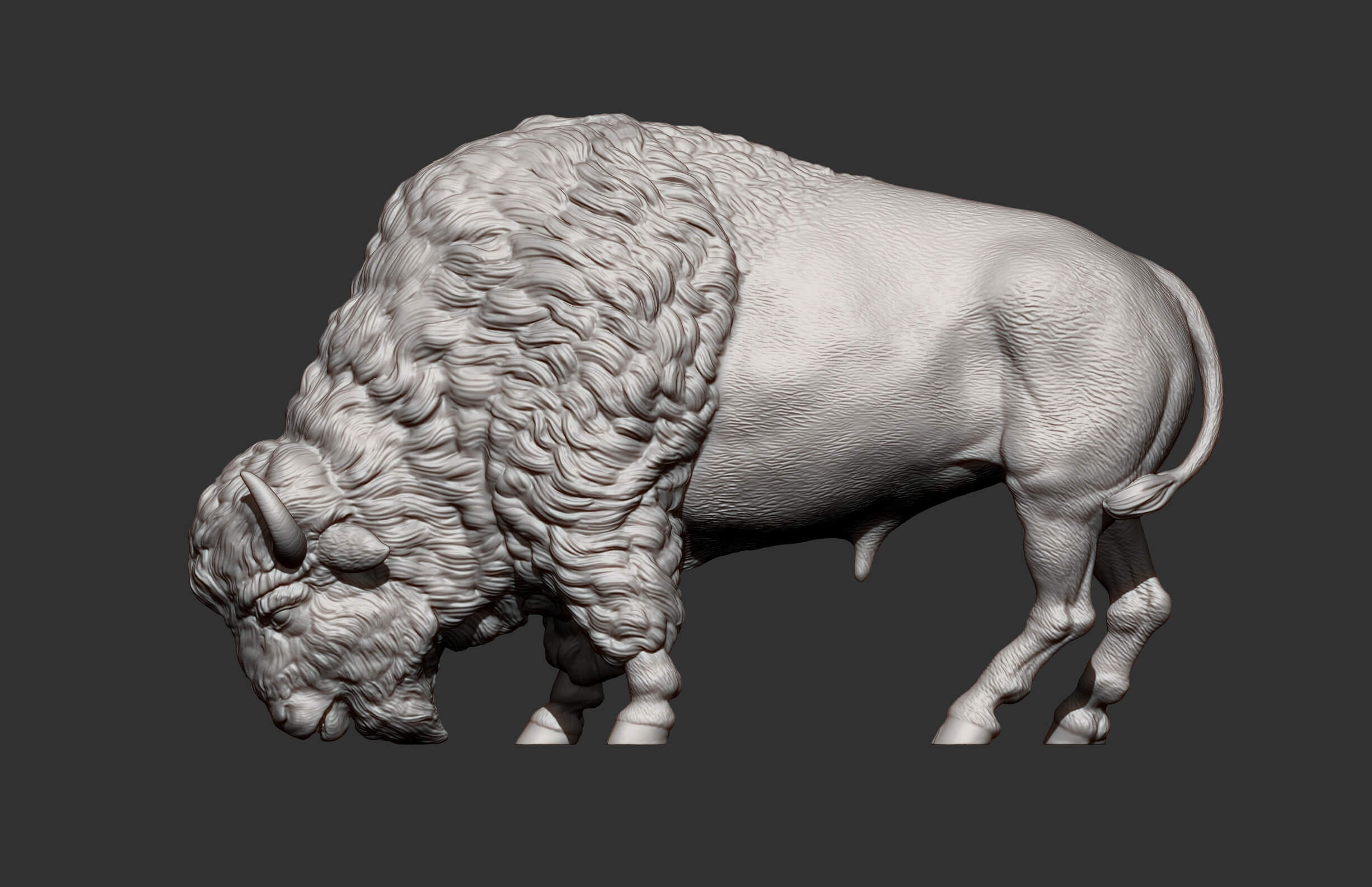 Bison 3D Print Model by Alexander3dart