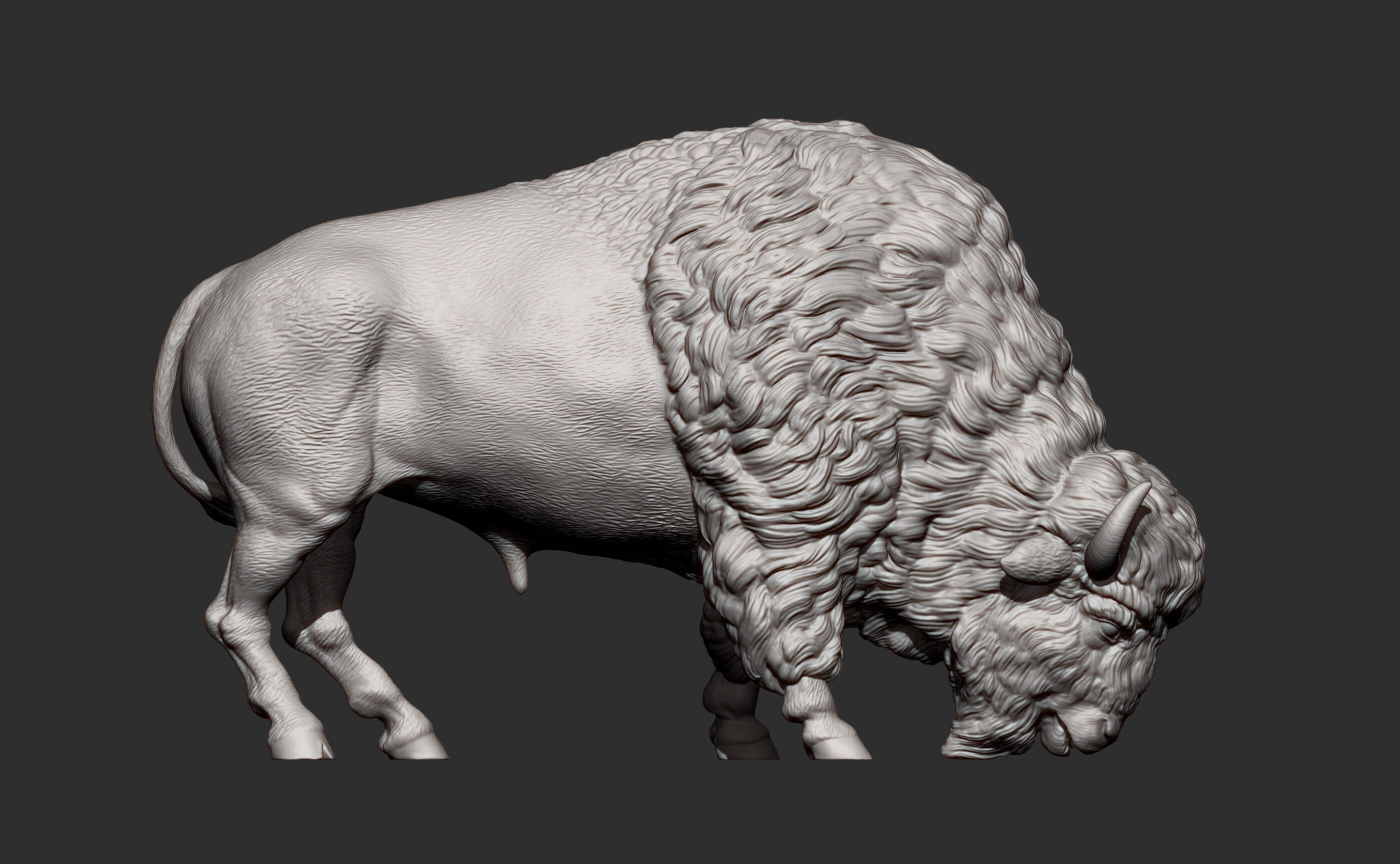 Bison 3D Print Model by Alexander3dart
