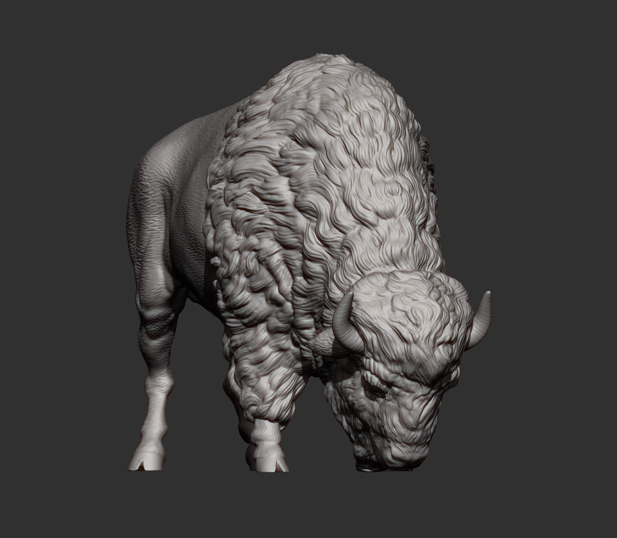 Bison 3D Print Model by Alexander3dart