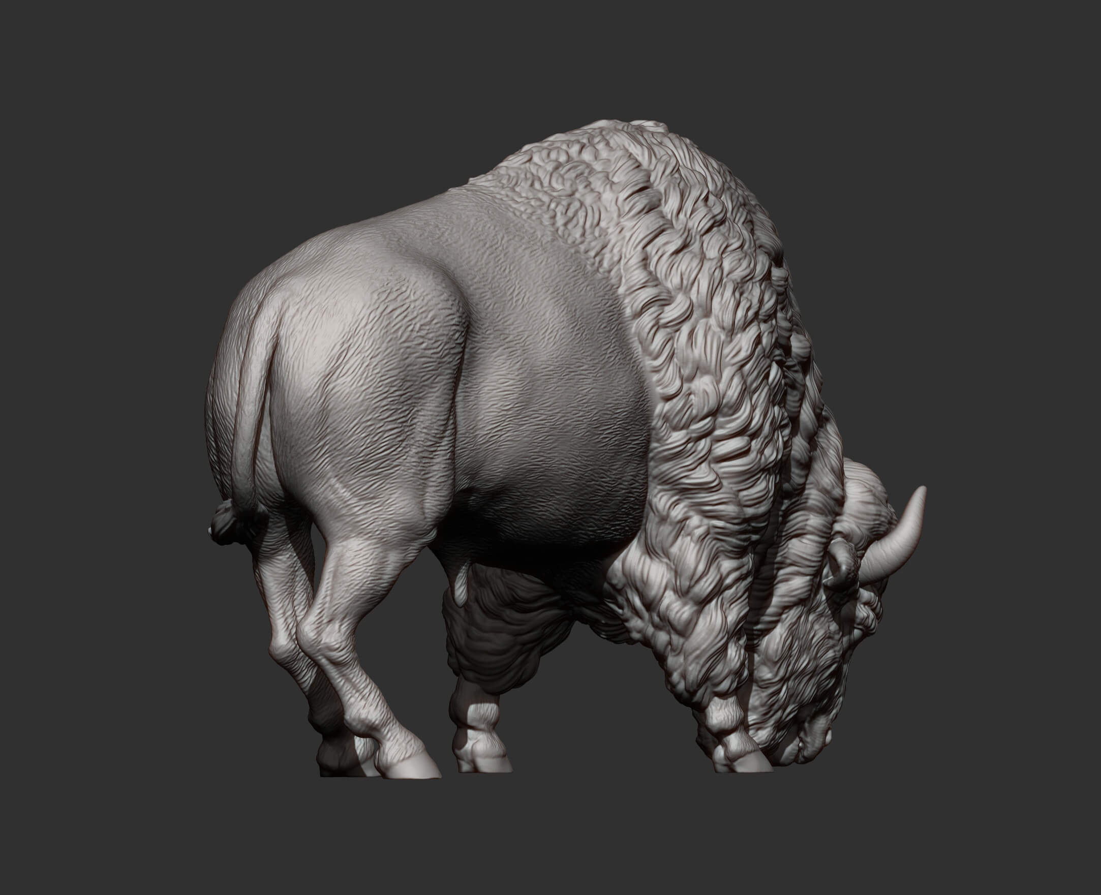 Bison 3D Print Model by Alexander3dart