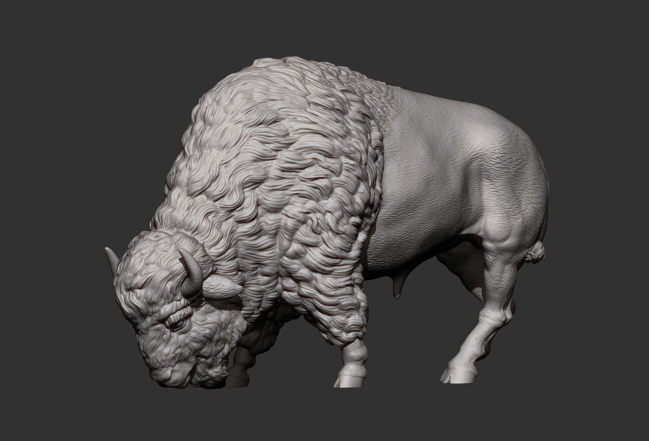 Bison 3D Print Model by Alexander3dart