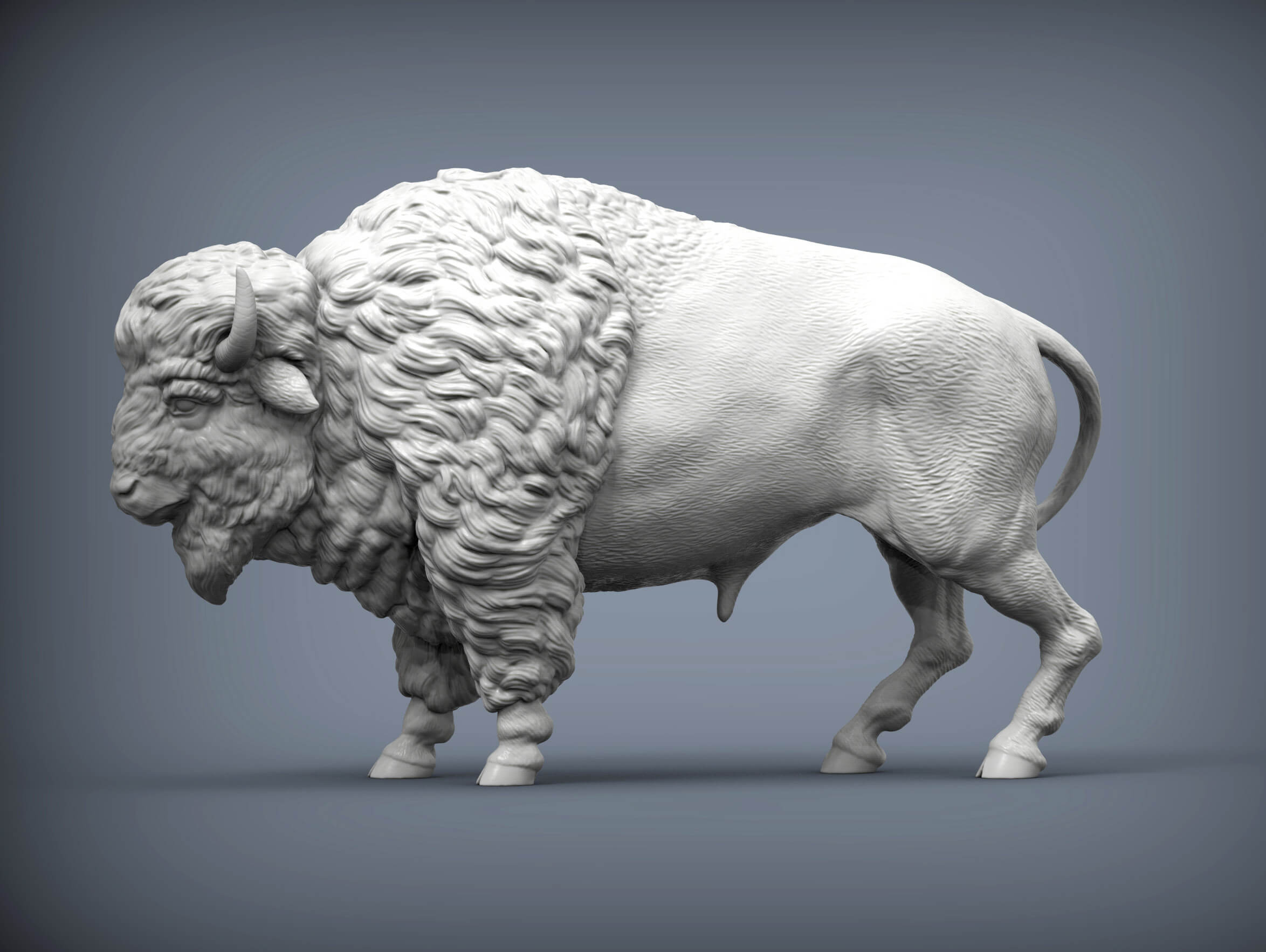 Bison 3D Print Model by Alexander3dart