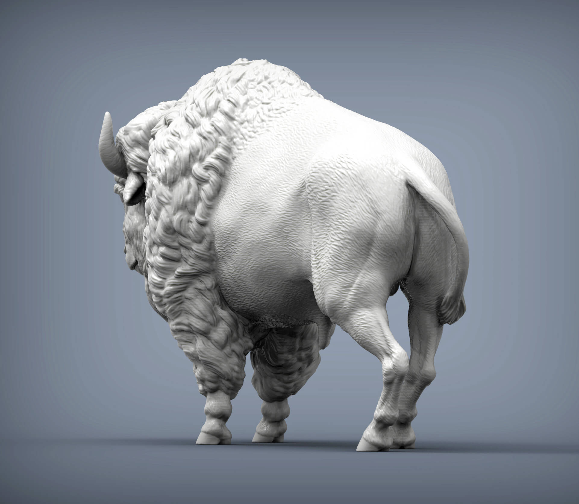 Bison 3D Print Model by Alexander3dart