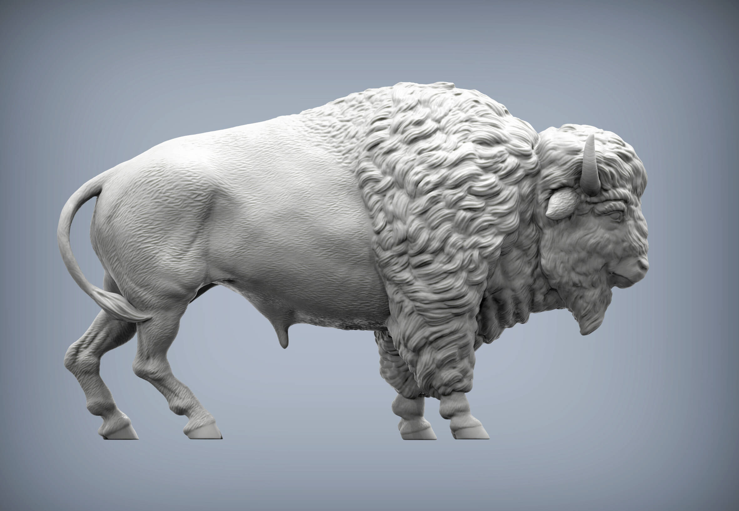 Bison 3D Print Model by Alexander3dart