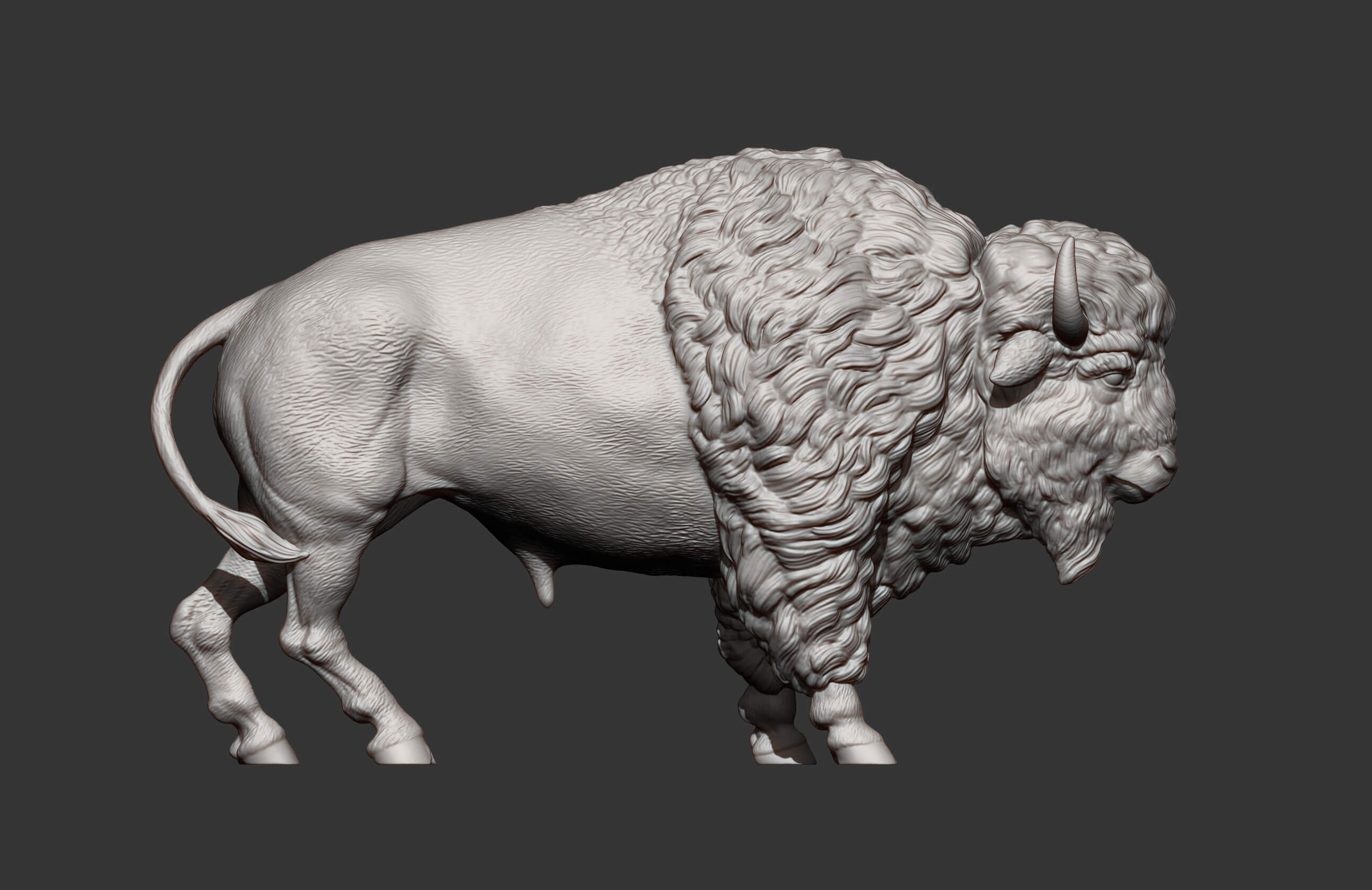 Bison 3D Print Model by Alexander3dart