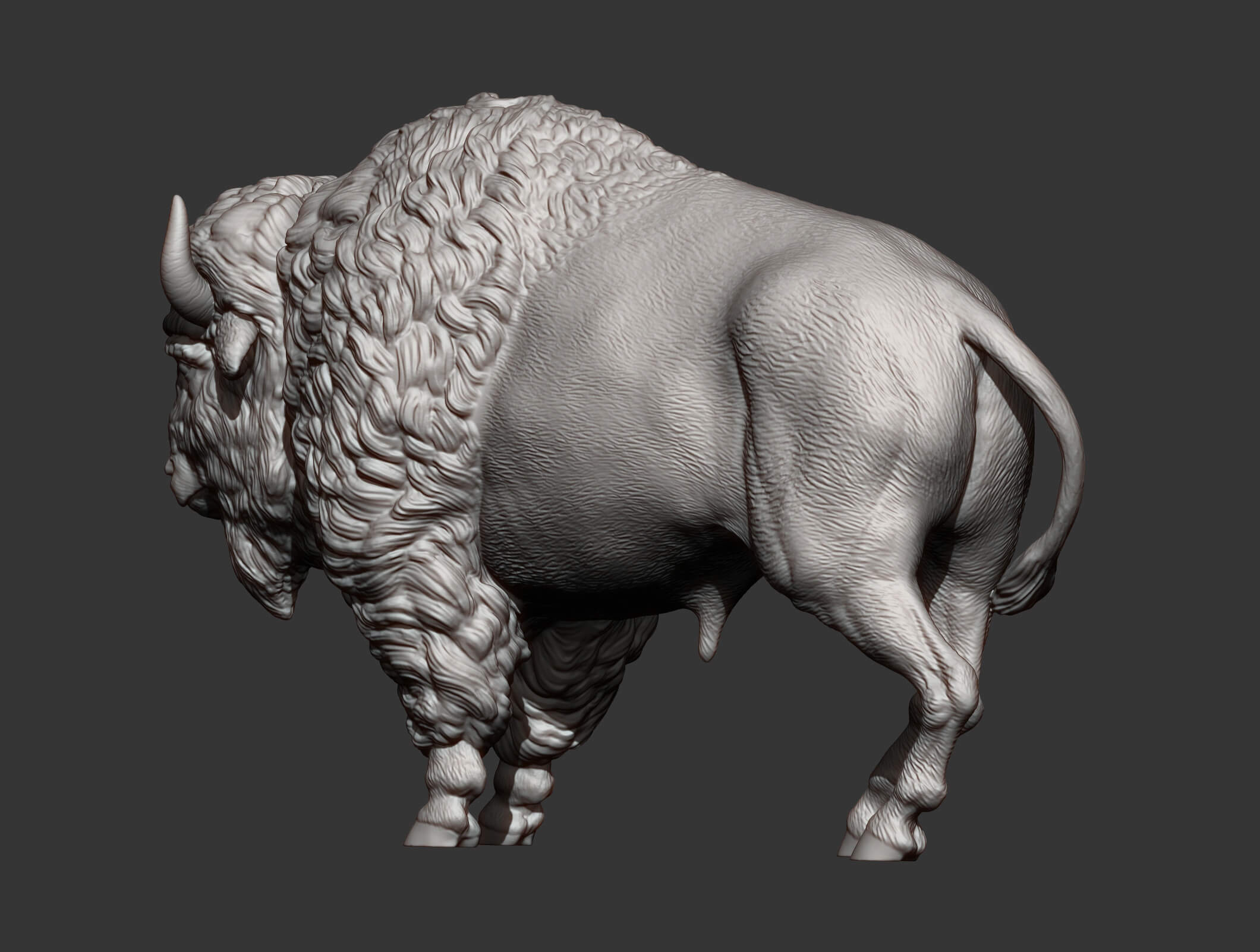 Bison 3D Print Model by Alexander3dart