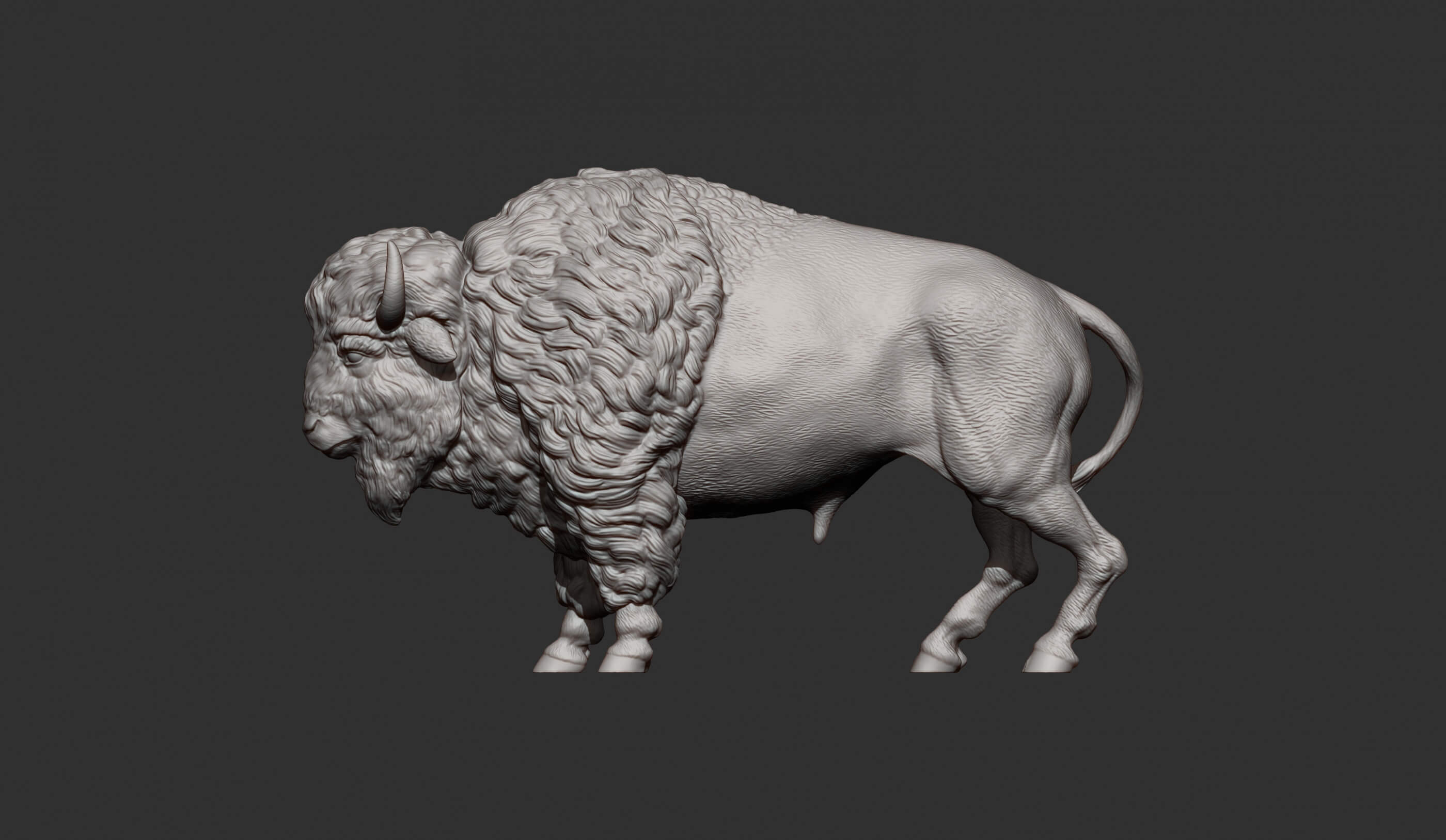 Bison 3D Print Model by Alexander3dart