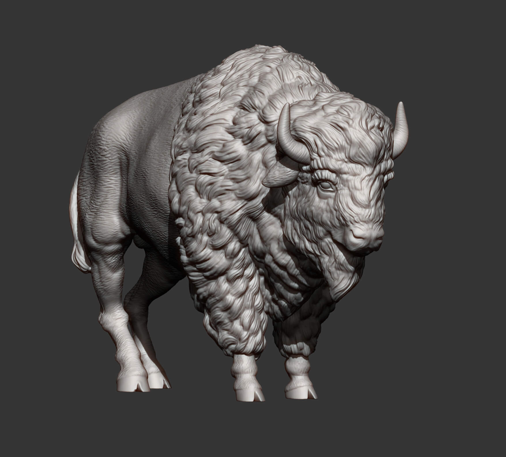 Bison 3D Print Model by Alexander3dart