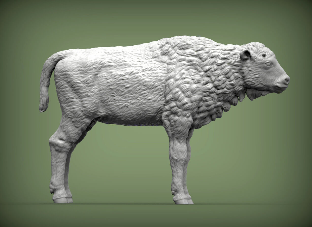 Bison Calf 3D Print Model by Alexander3dart
