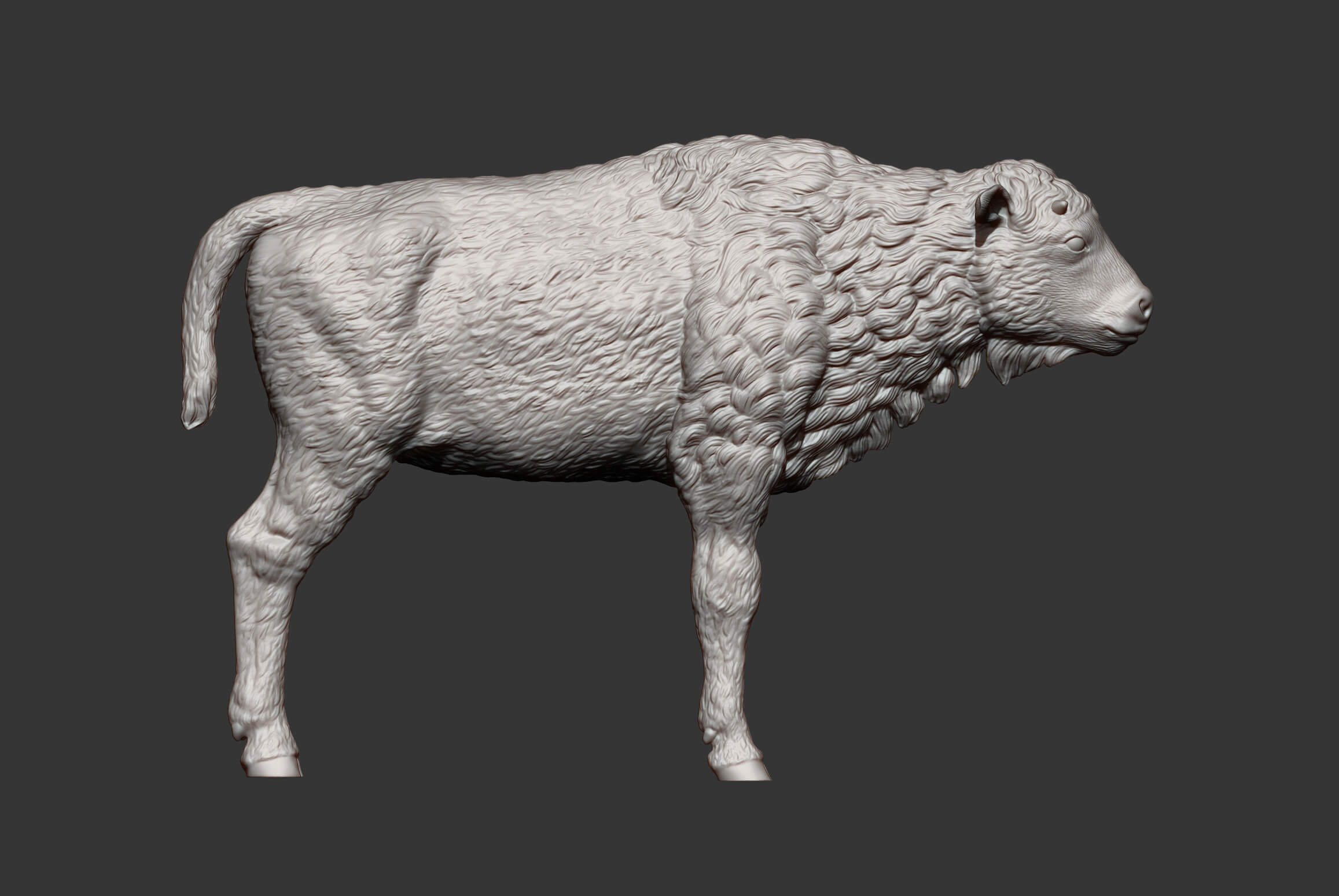 Bison Calf 3D Print Model by Alexander3dart