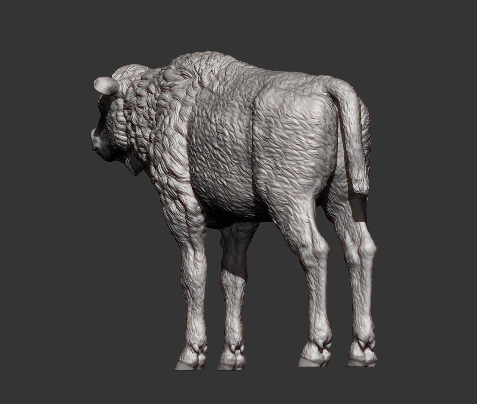 Bison Calf 3D Print Model by Alexander3dart