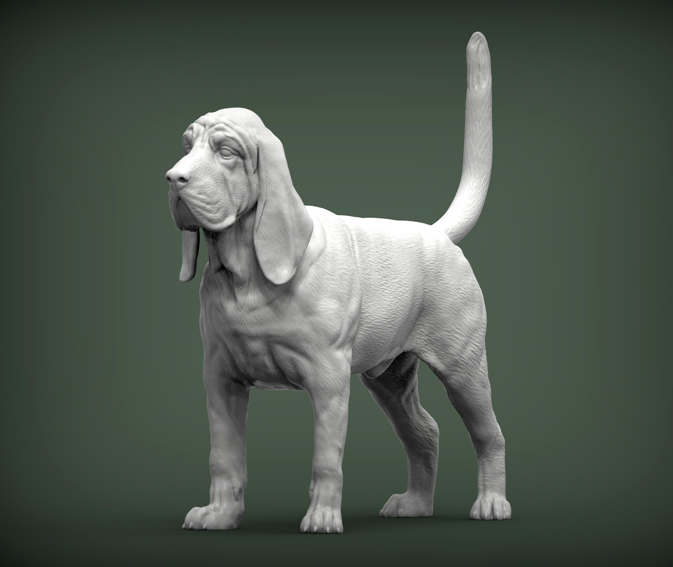 Bloodhound Basset Hound 3D Print Model by Alexander3dart
