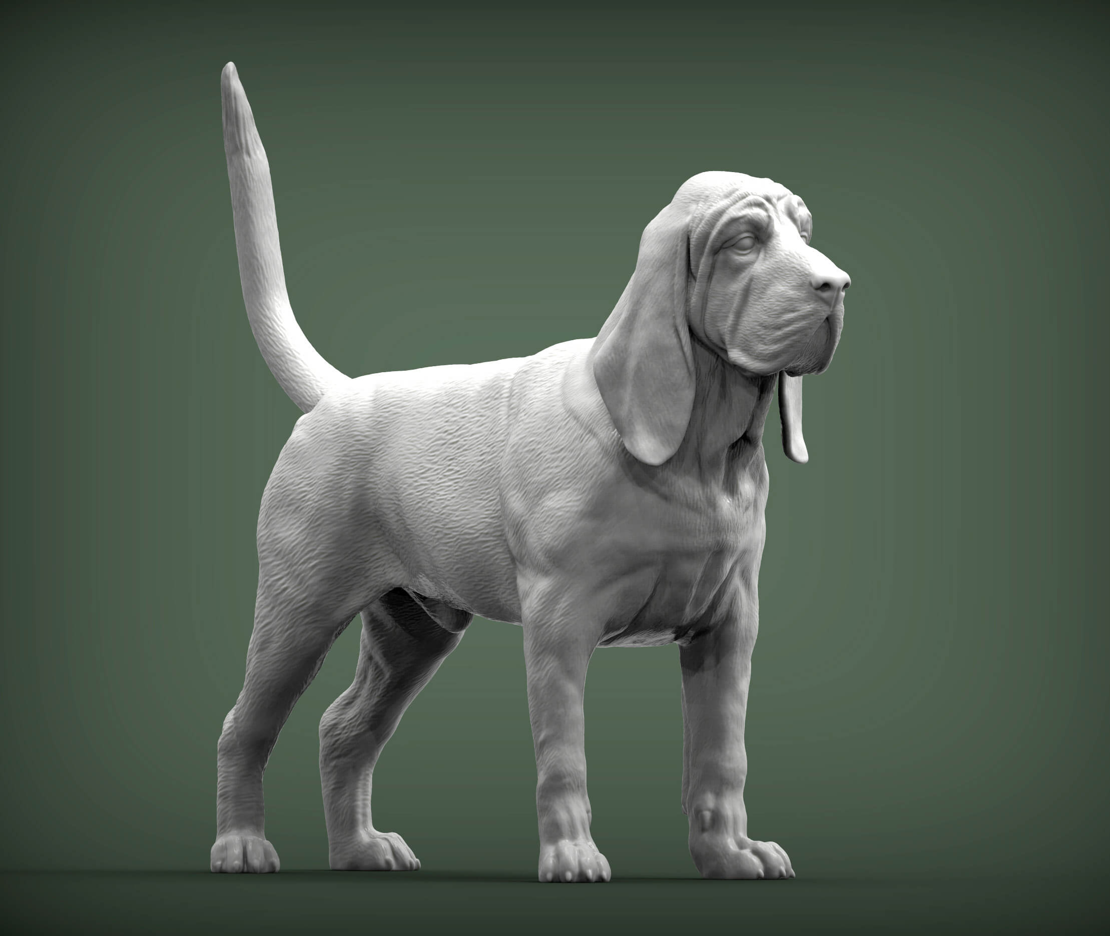 Bloodhound Basset Hound 3D Print Model by Alexander3dart