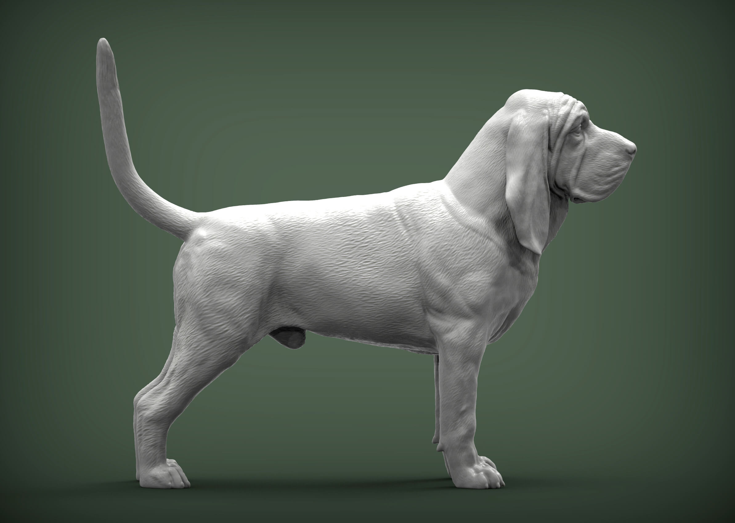 Bloodhound Basset Hound 3D Print Model by Alexander3dart