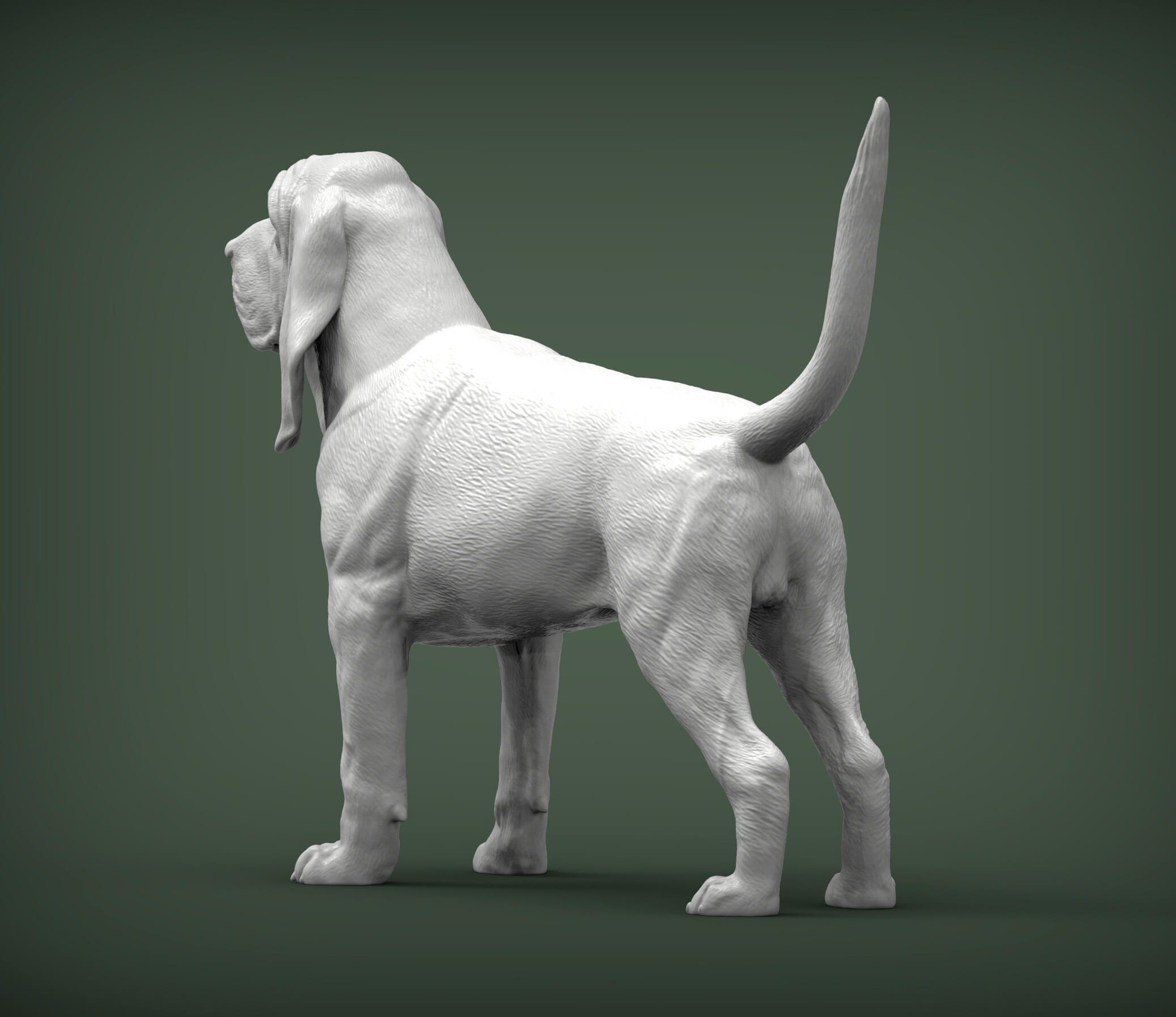 Bloodhound Basset Hound 3D Print Model by Alexander3dart
