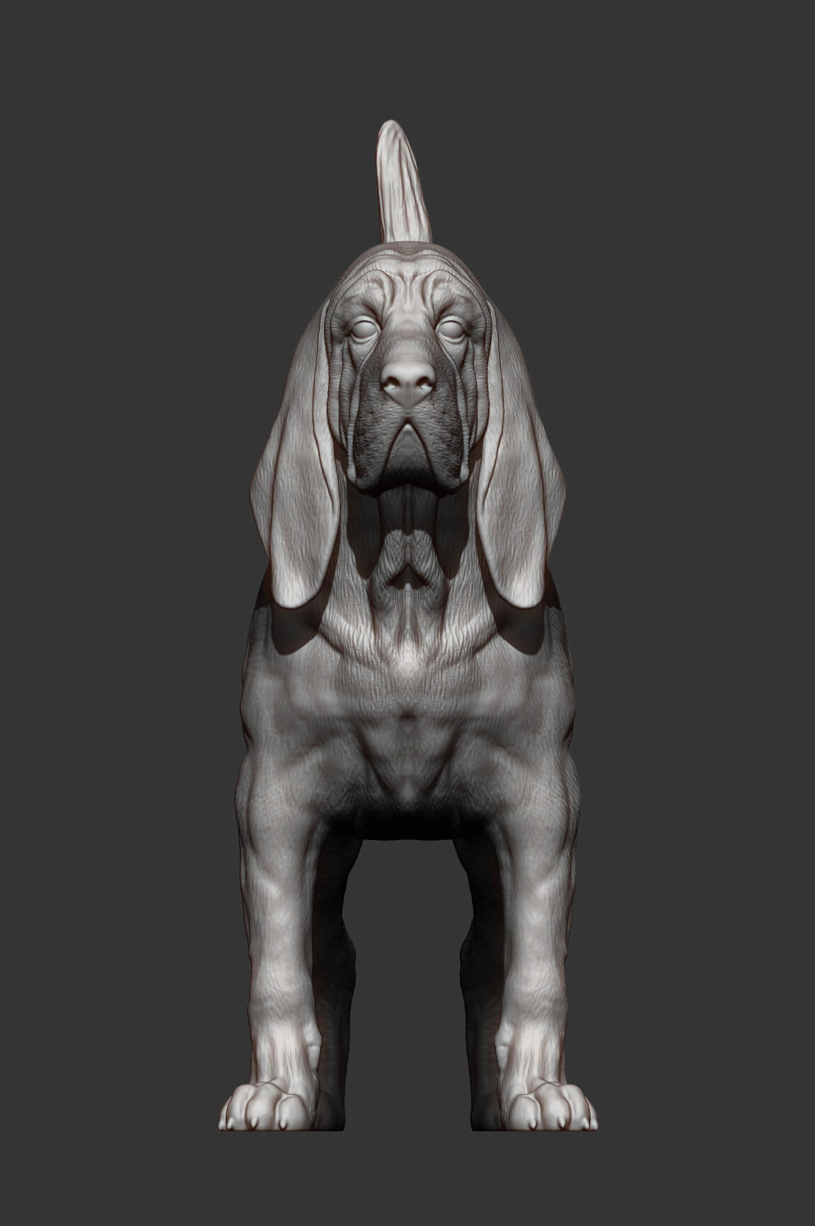 Bloodhound Basset Hound 3D Print Model by Alexander3dart