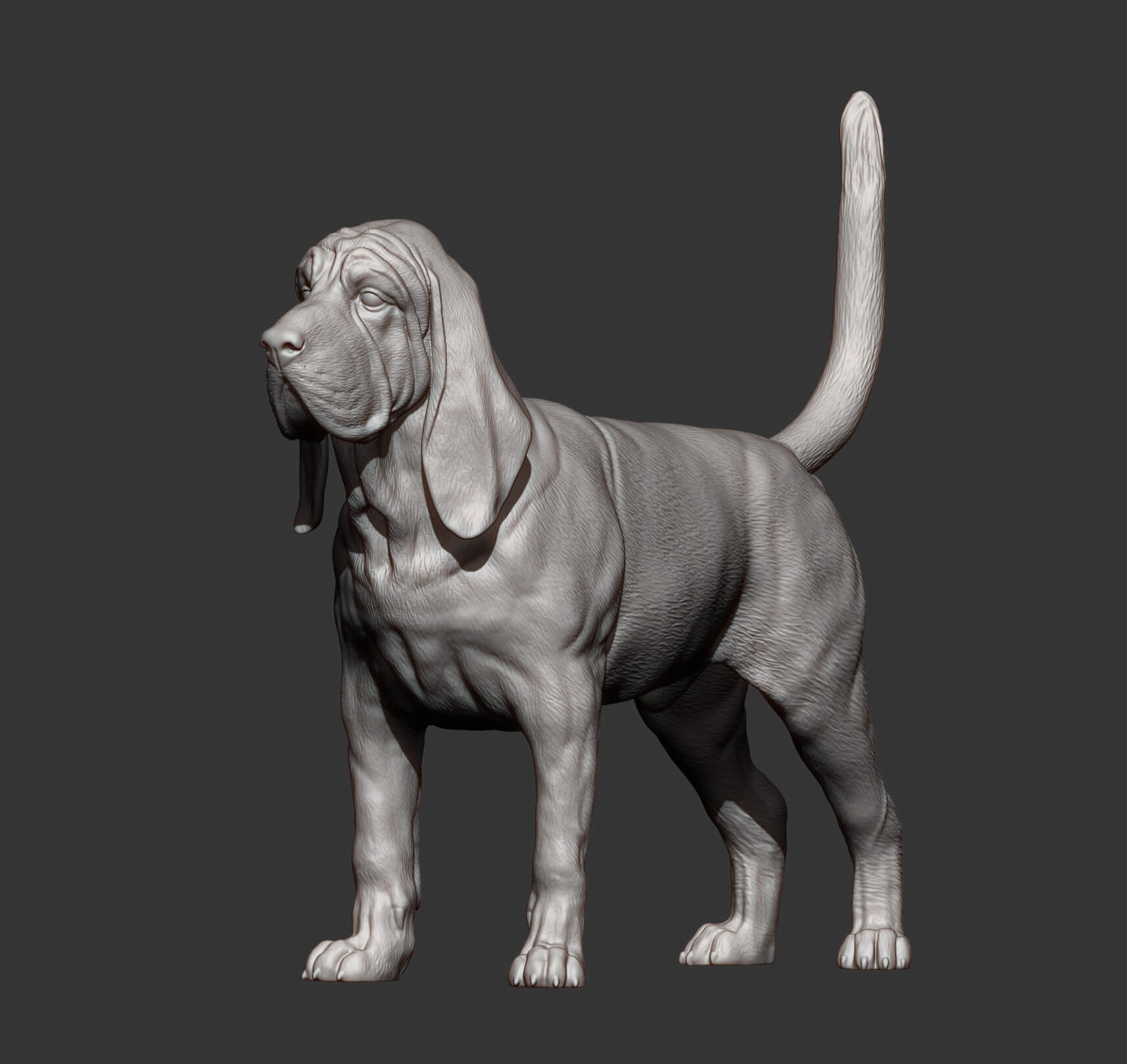 Bloodhound Basset Hound 3D Print Model by Alexander3dart