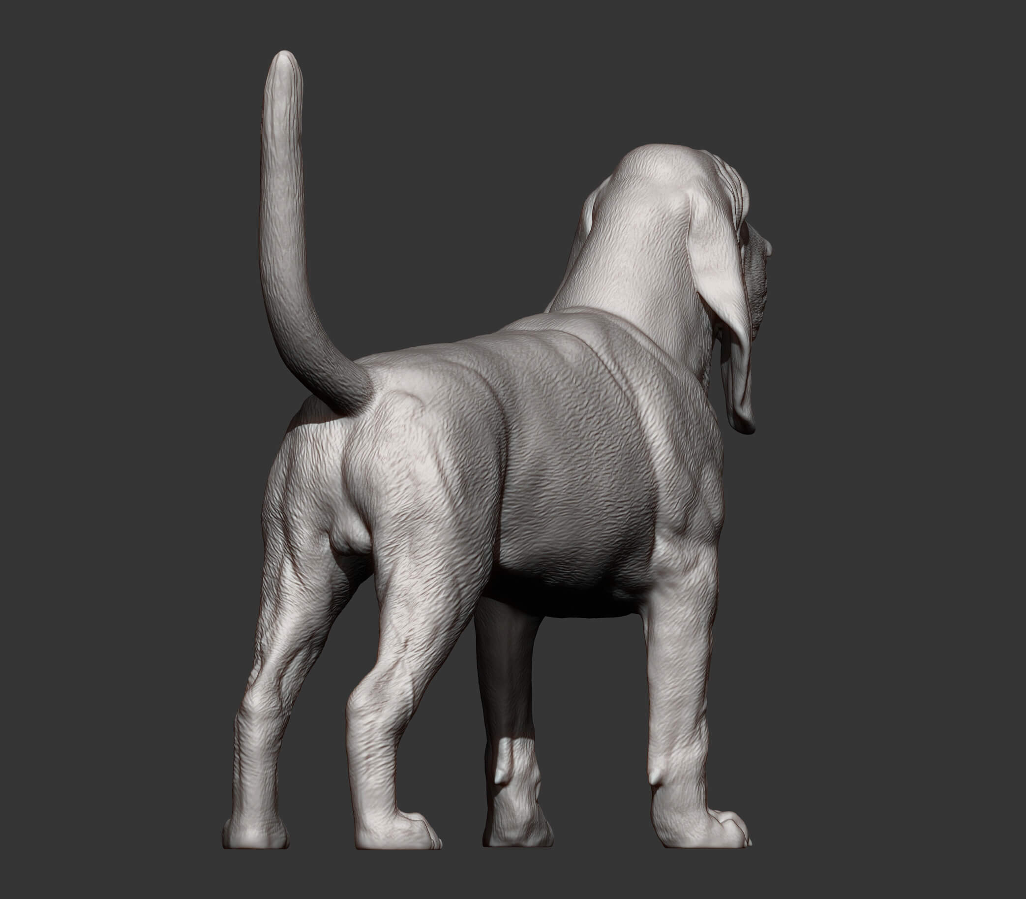 Bloodhound Basset Hound 3D Print Model by Alexander3dart