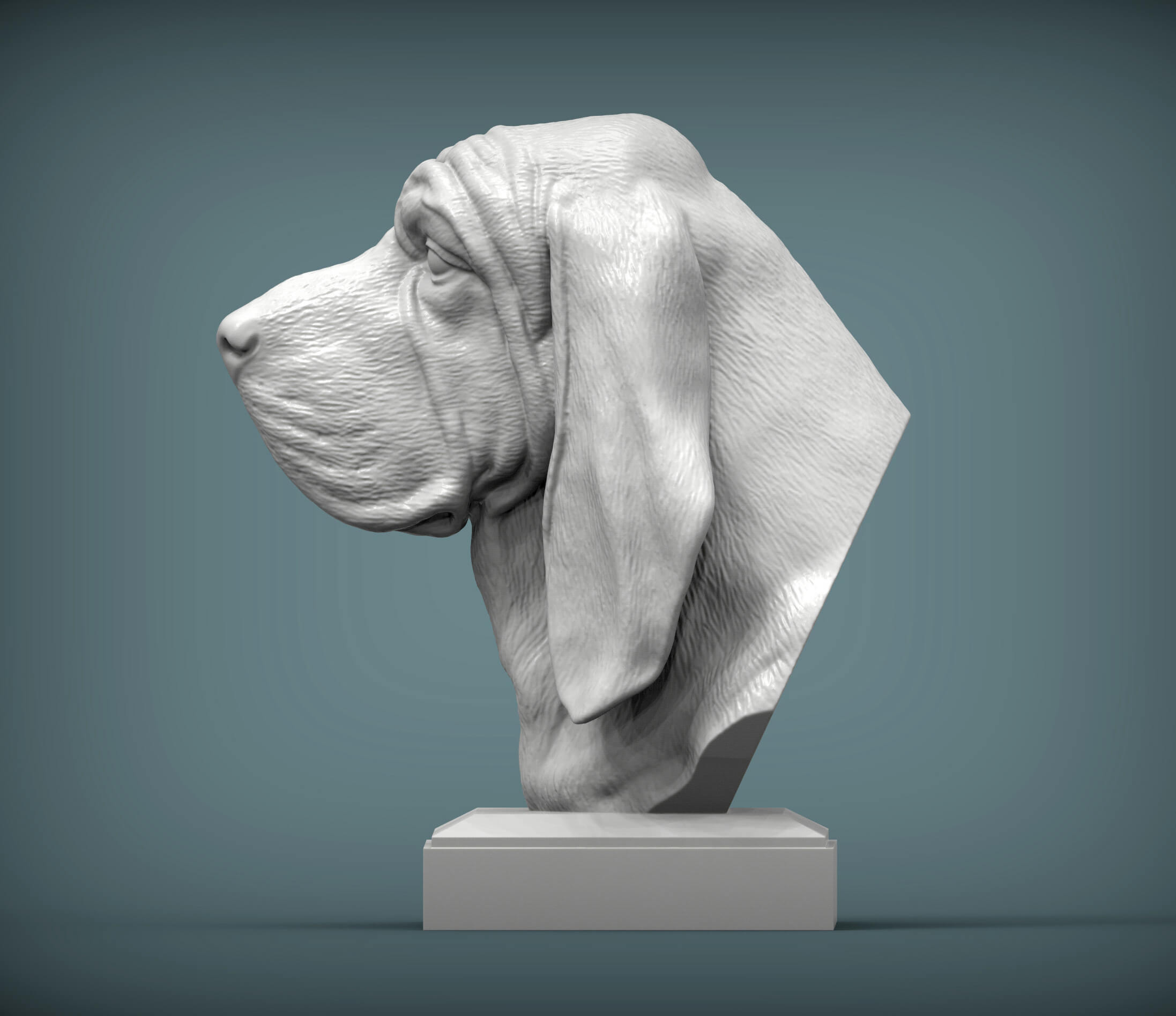 Bloodhound Bust for 3D Printing by Alexander3dart