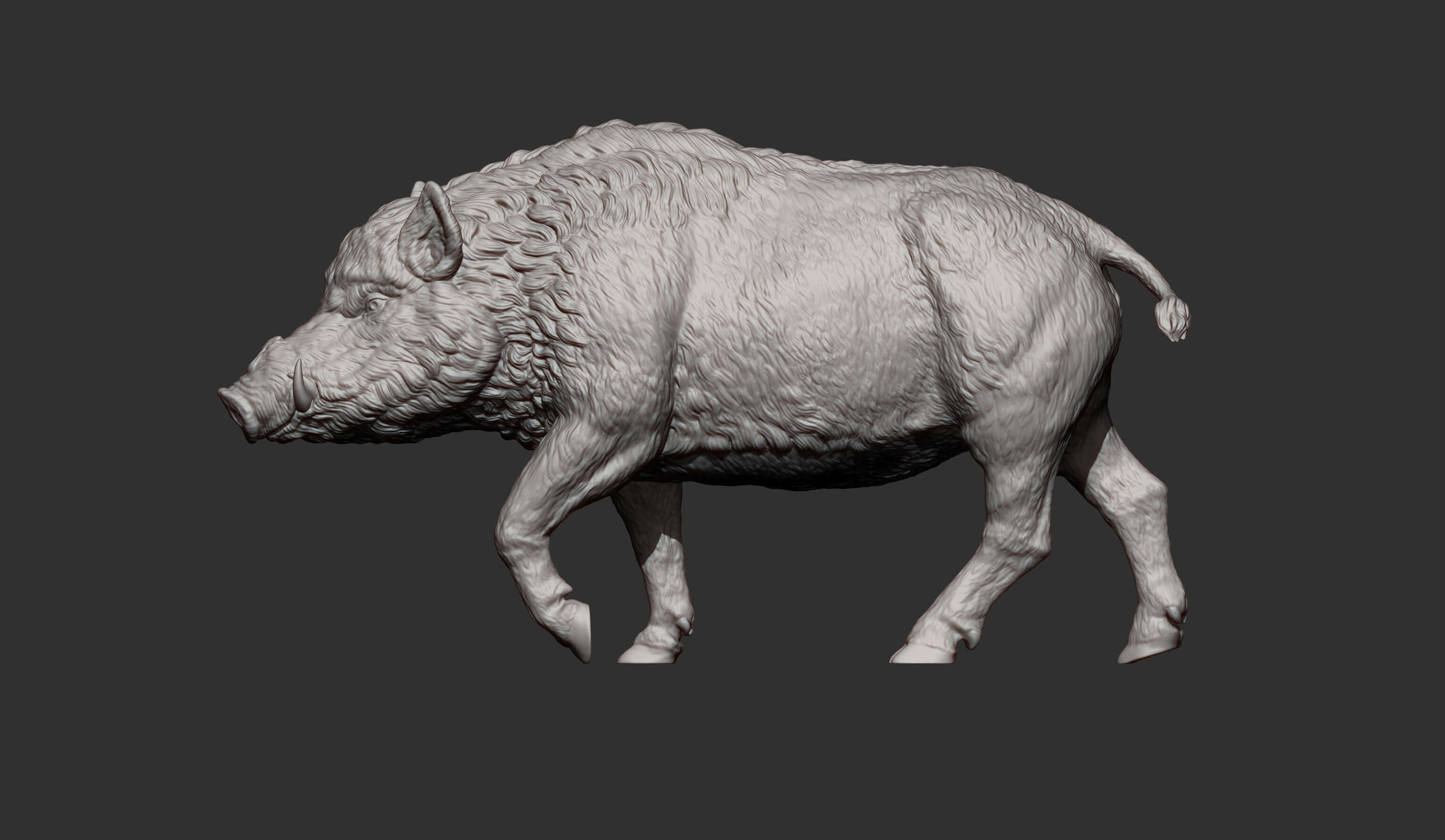 Boar Is Coming - 3D Model by Alexander3dart