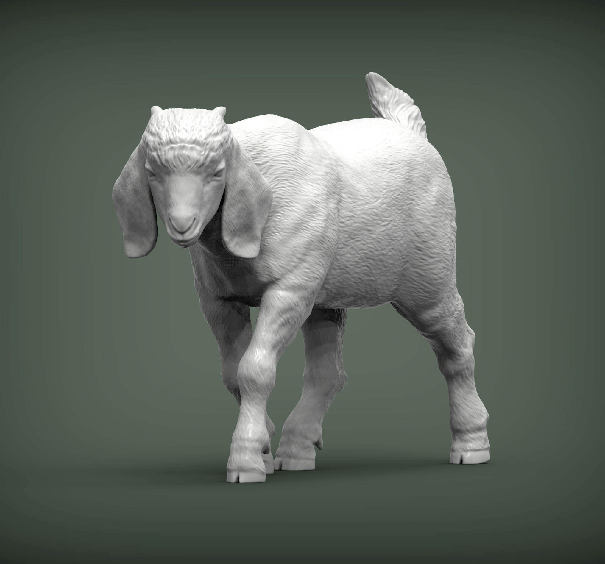 Boer Goat Baby Walks 3D Print Model by Alexander3dart