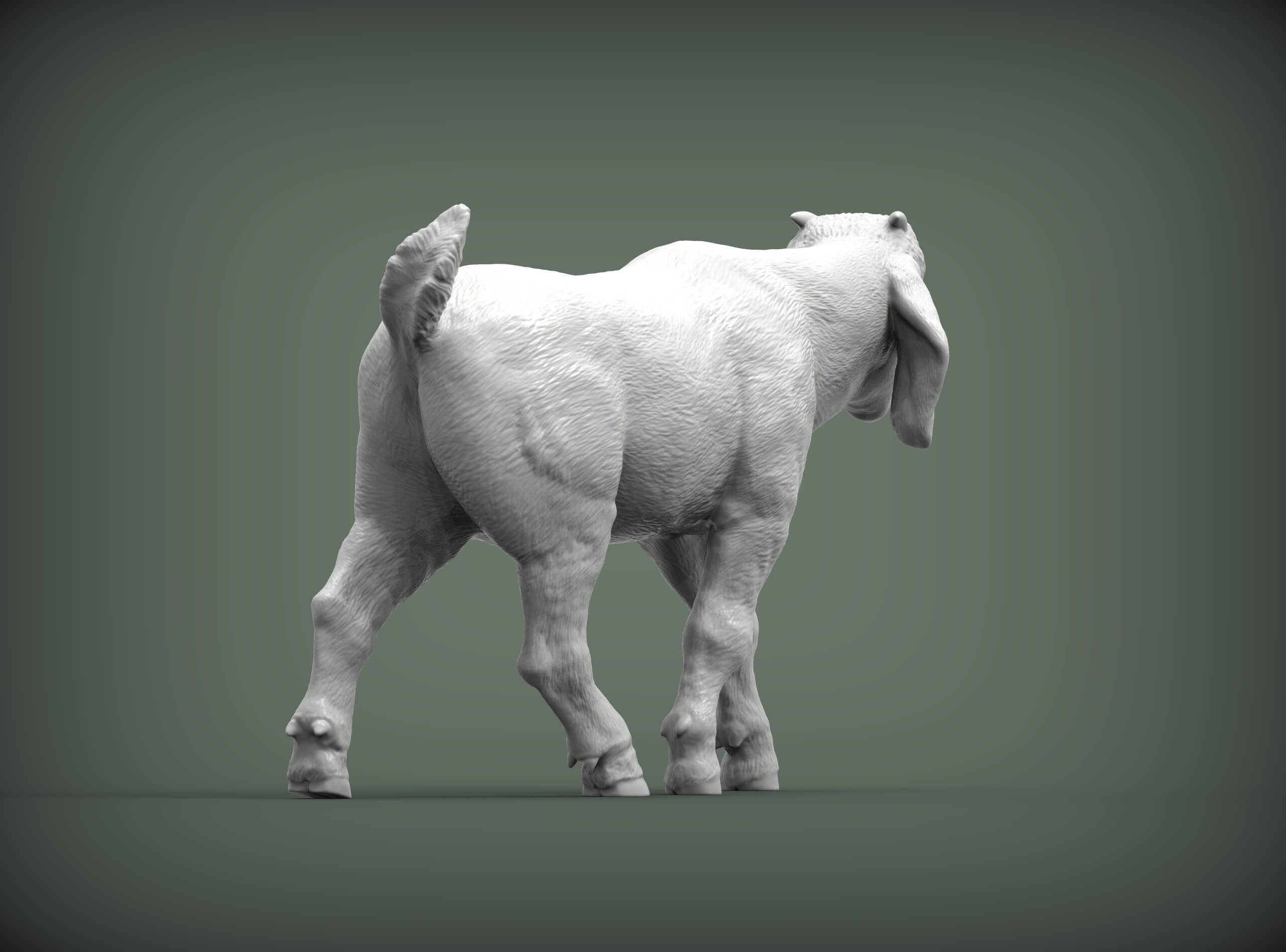 Boer Goat Baby Walks 3D Print Model by Alexander3dart