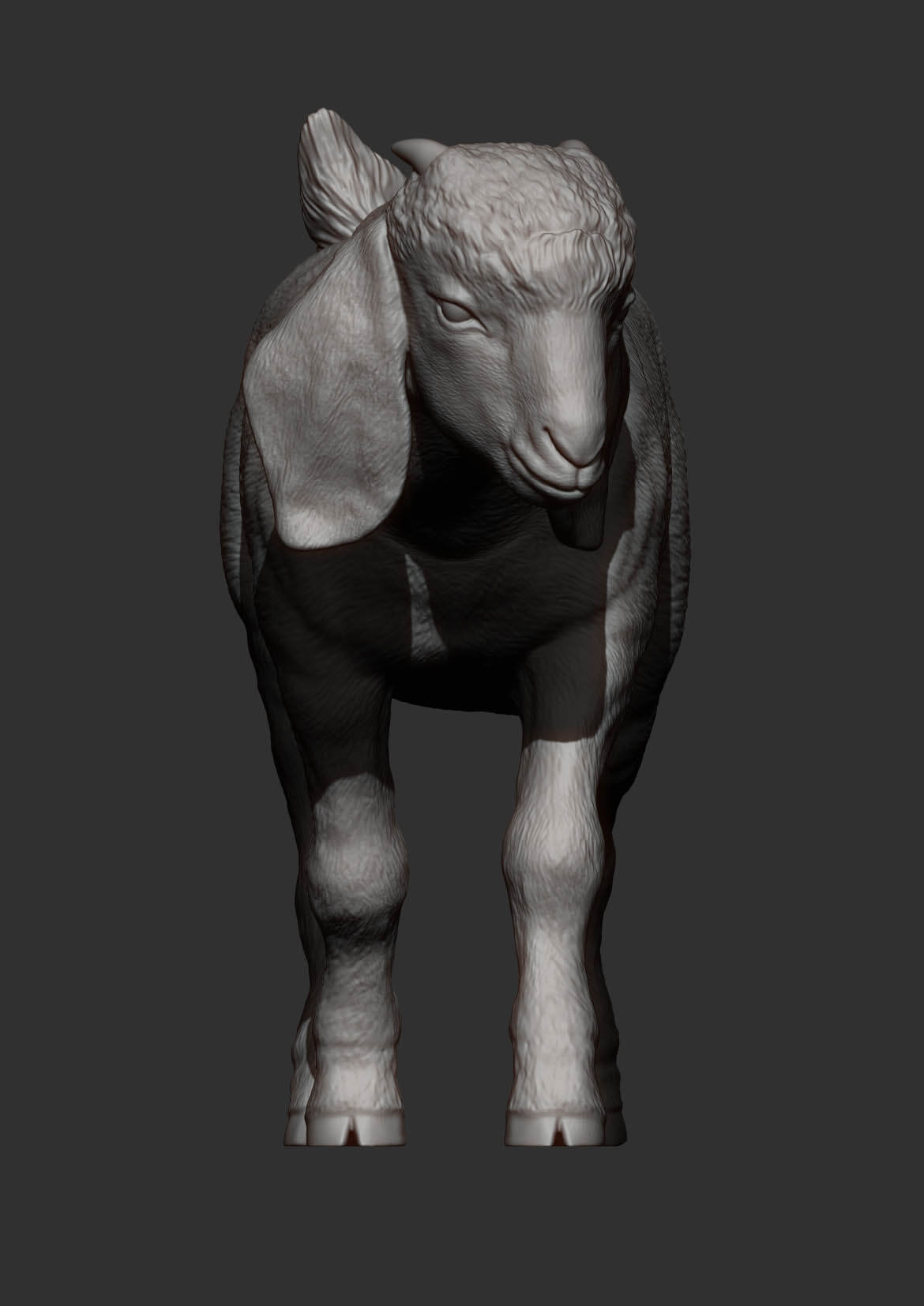 Boer Goat Baby Walks 3D Print Model by Alexander3dart