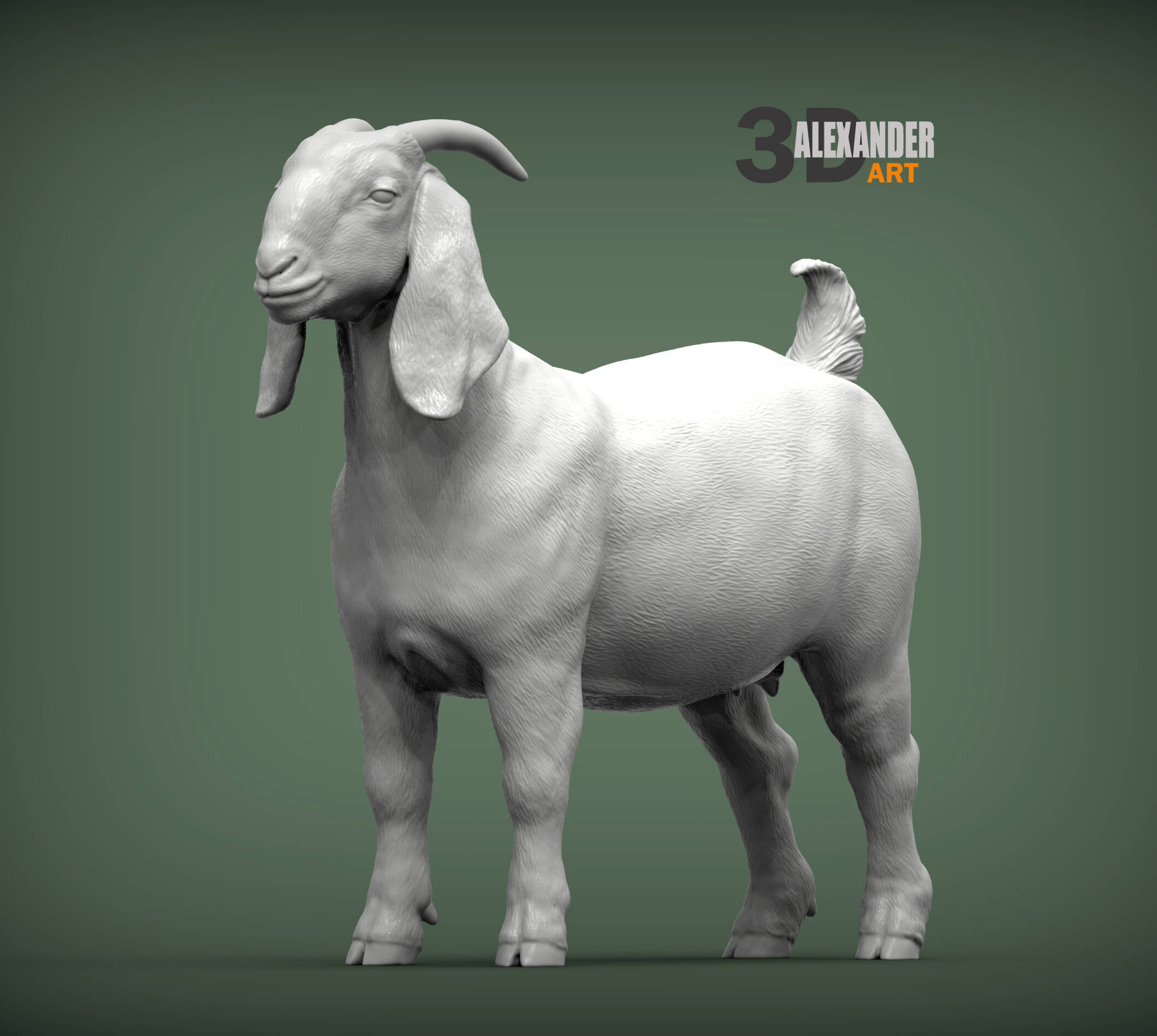 Boer Goats Female - 3D Model by Alexander3dart