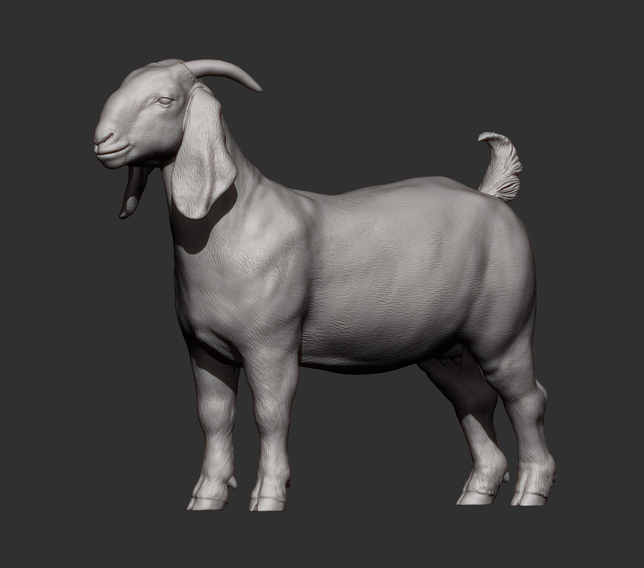 Boer Goats Female - 3D Model by Alexander3dart