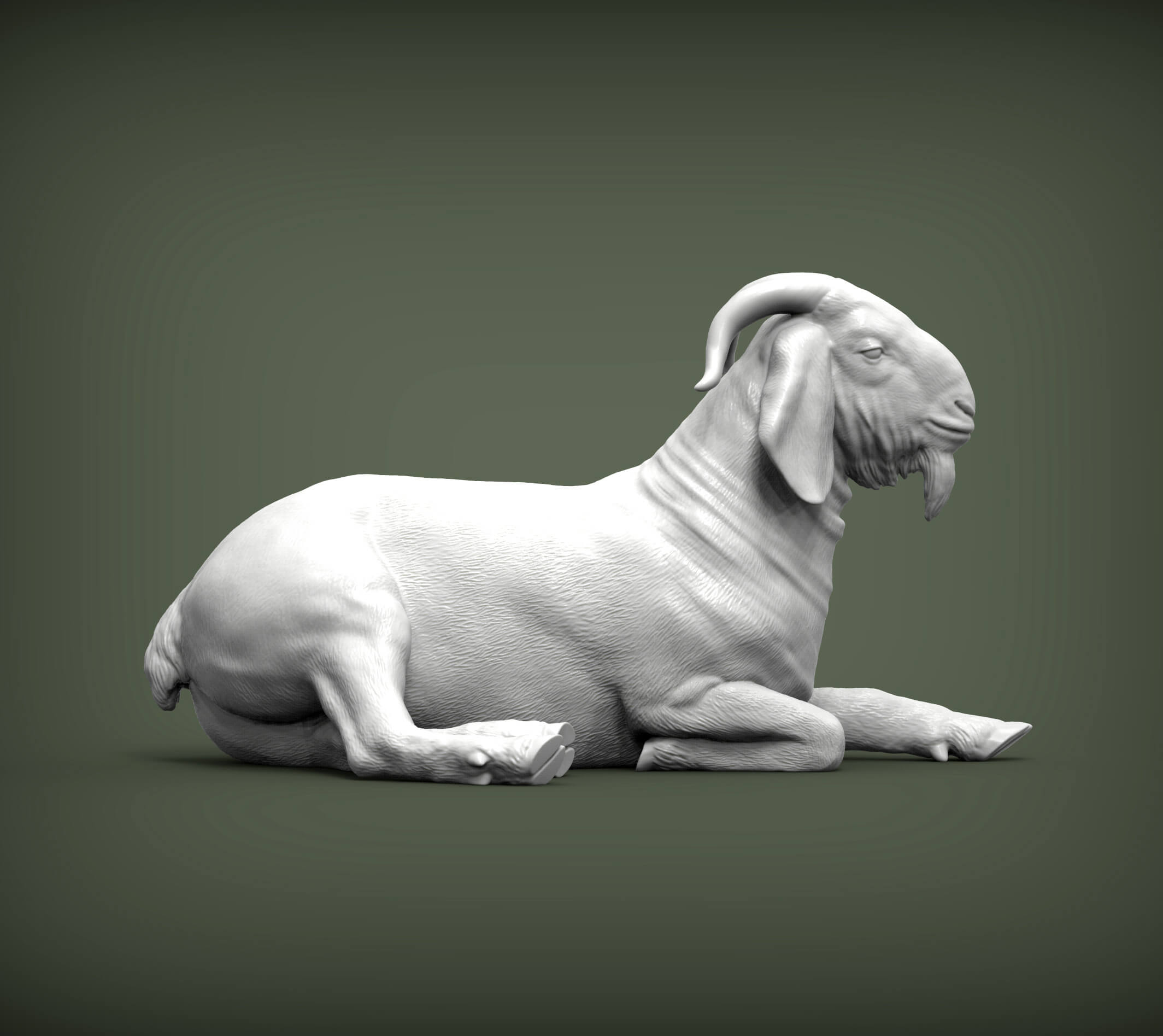 Boer Goats Male Lying Down 3D Print Model by Alexander3dart