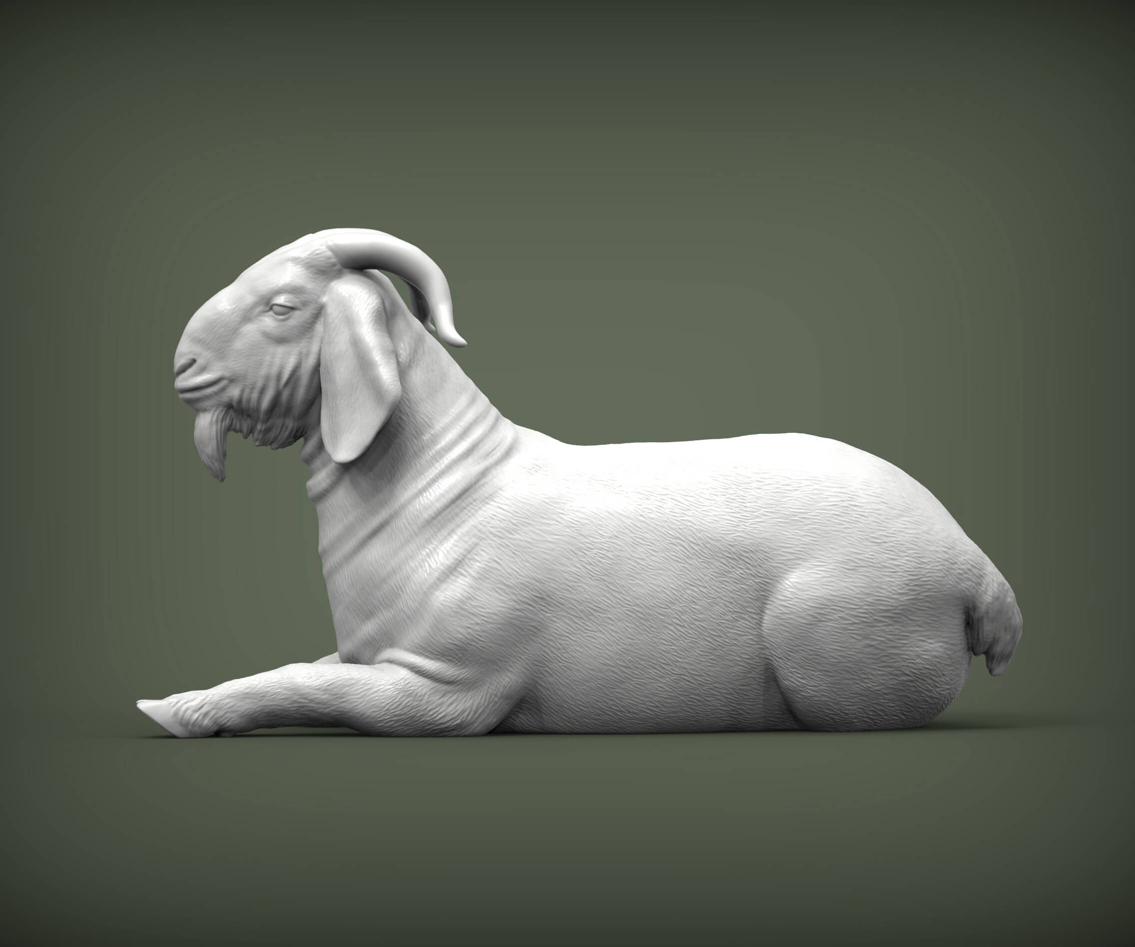 Boer Goats Male Lying Down 3D Print Model by Alexander3dart