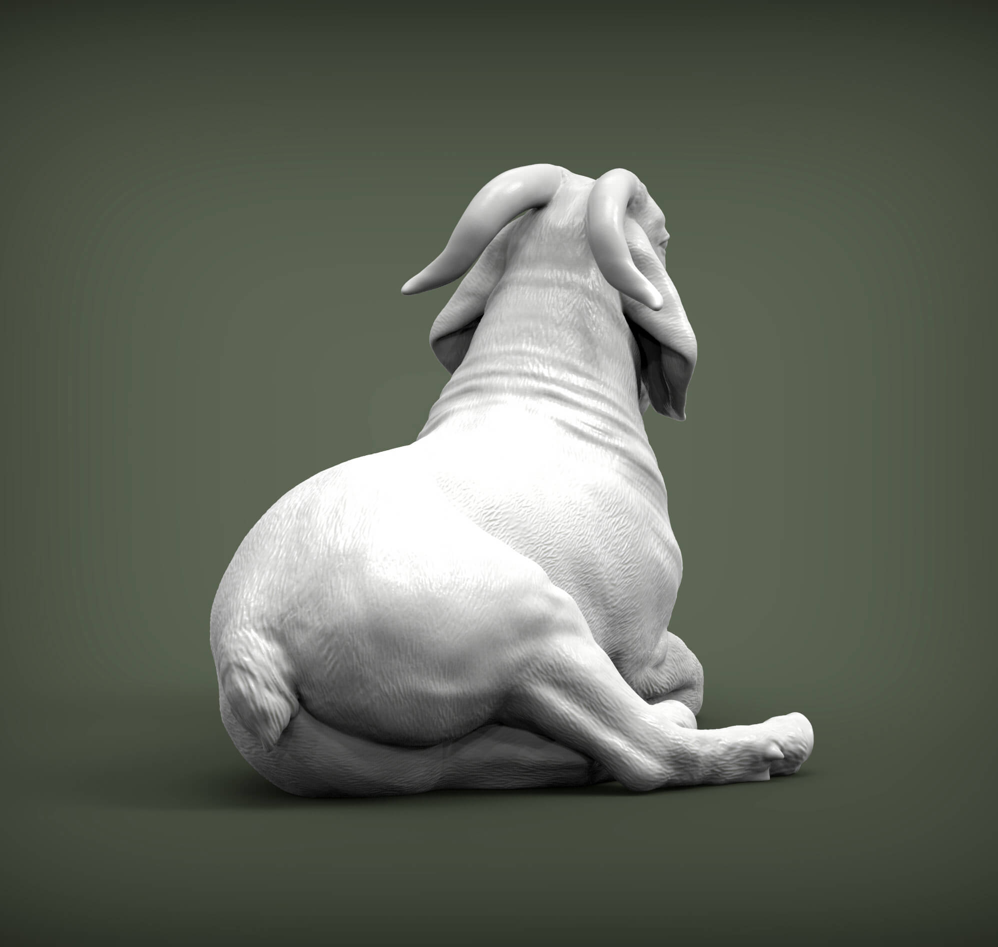 Boer Goats Male Lying Down 3D Print Model by Alexander3dart