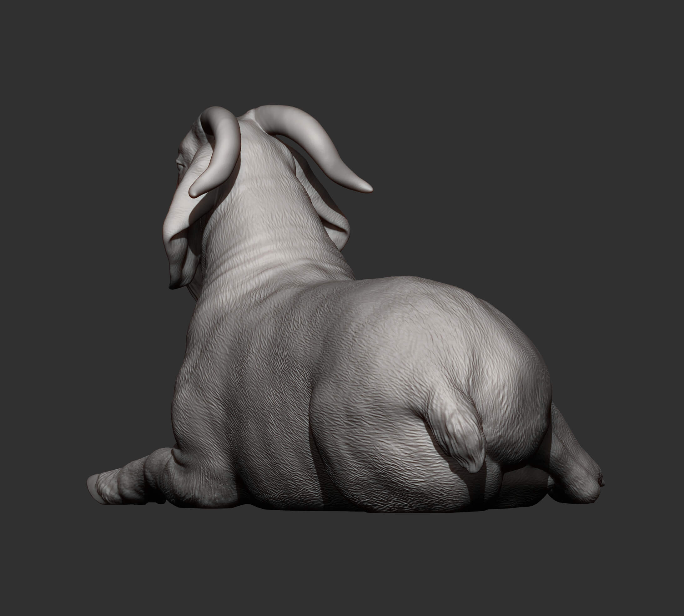 Boer Goats Male Lying Down 3D Print Model by Alexander3dart