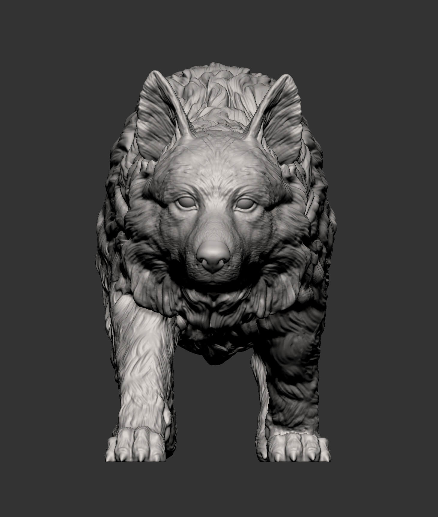 Border Collie 3D Print Model by Alexander3dart