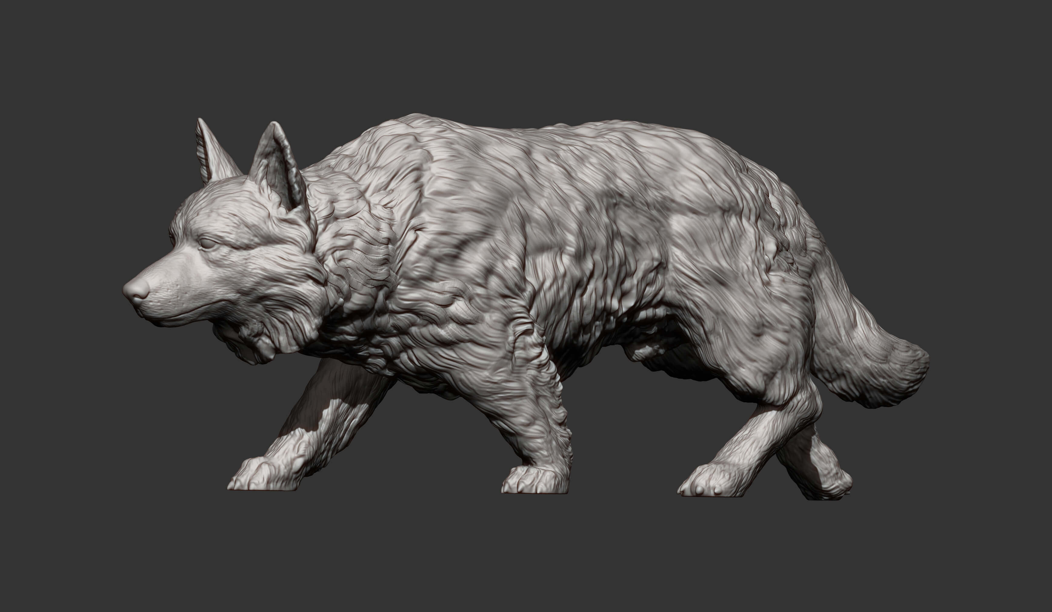 Border Collie 3D Print Model by Alexander3dart