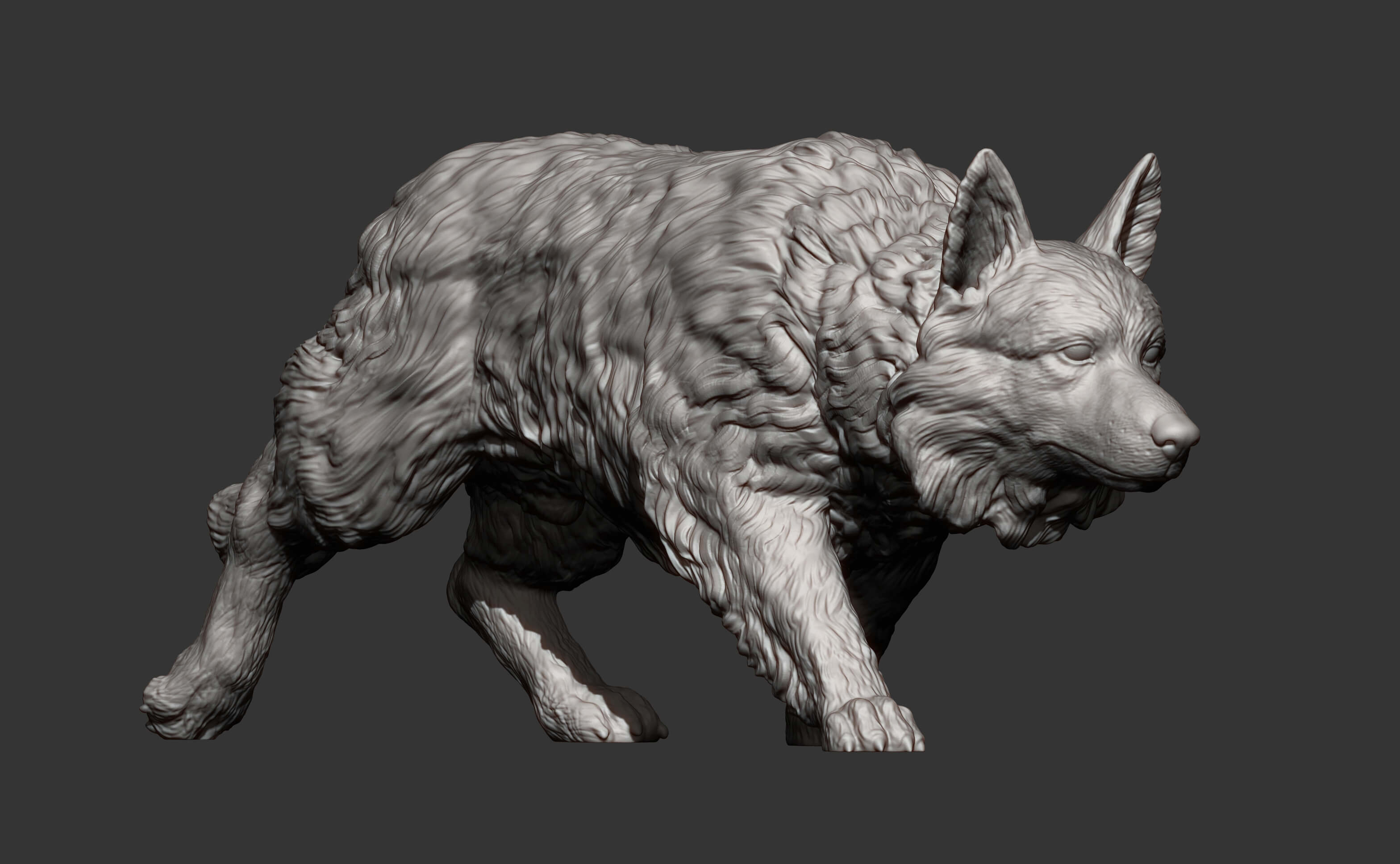 Border Collie 3D Print Model by Alexander3dart