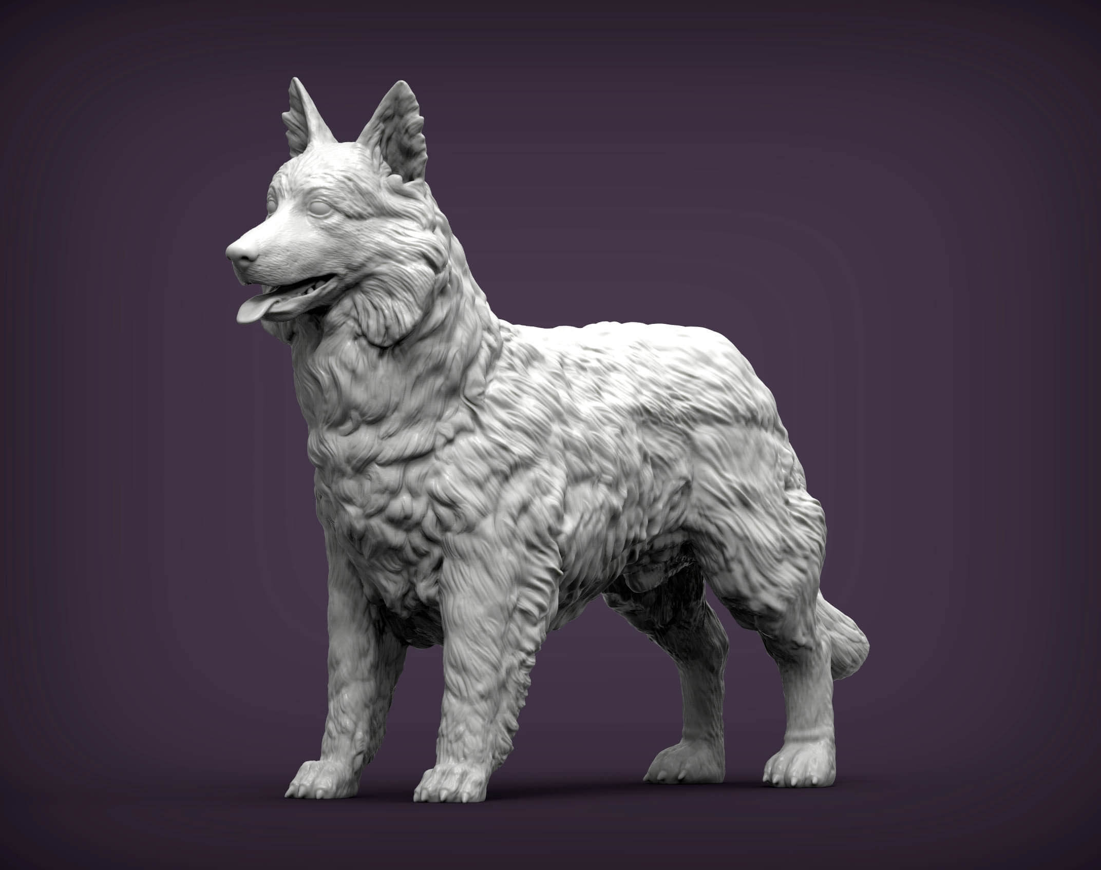 Border Collie 3D Print Model by Alexander3dart