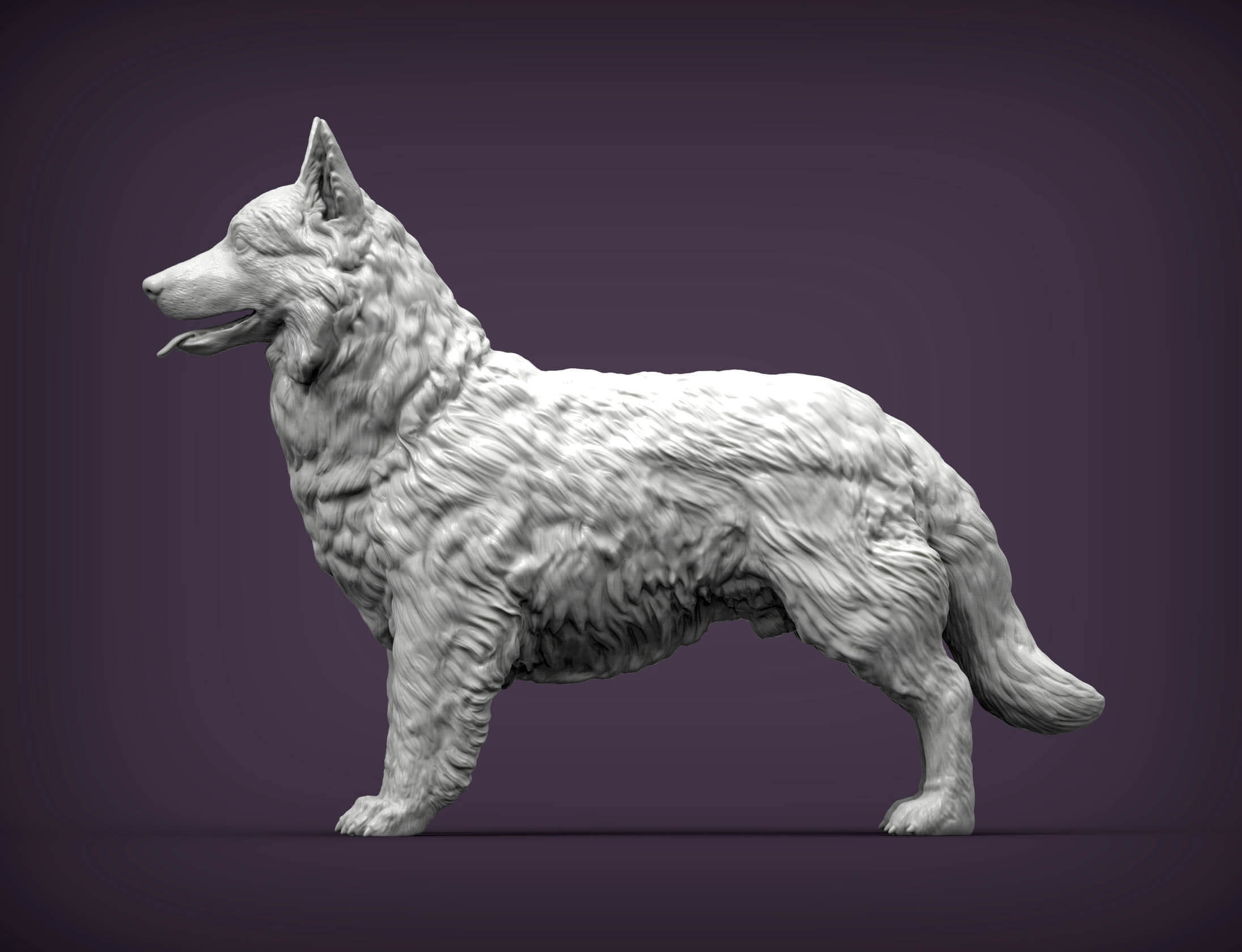 Border Collie 3D Print Model by Alexander3dart