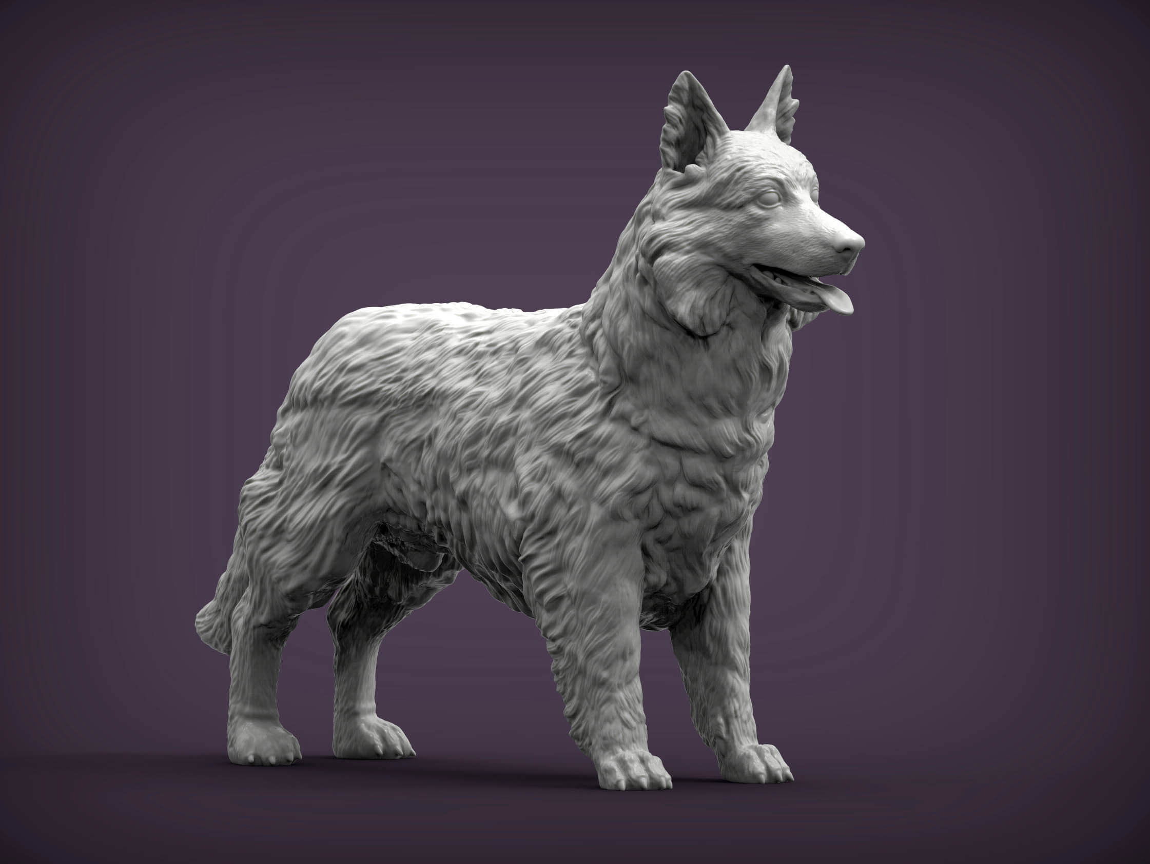 Border Collie 3D Print Model by Alexander3dart
