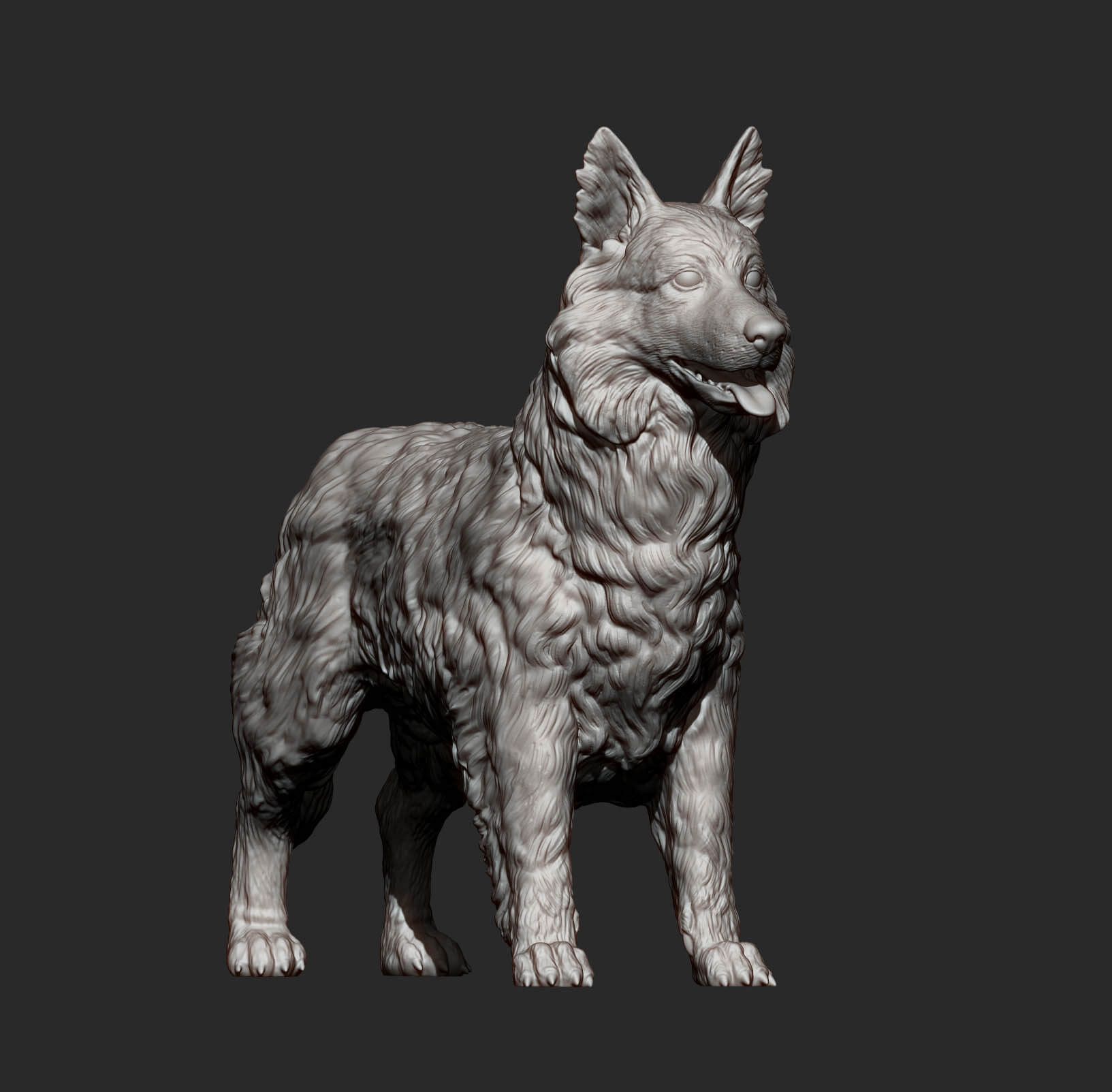 Border Collie 3D Print Model by Alexander3dart