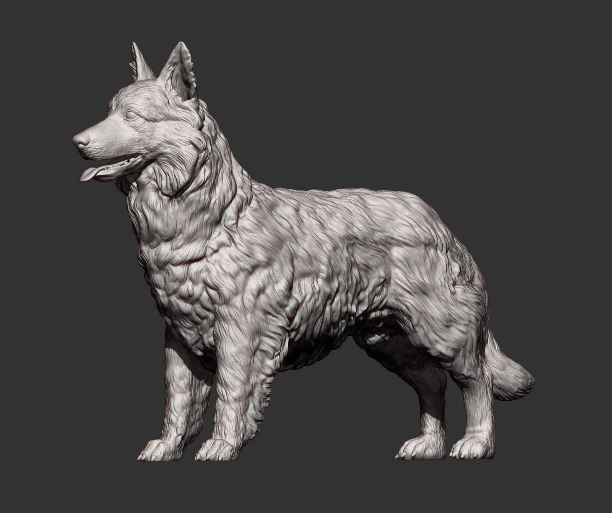 Border Collie 3D Print Model by Alexander3dart