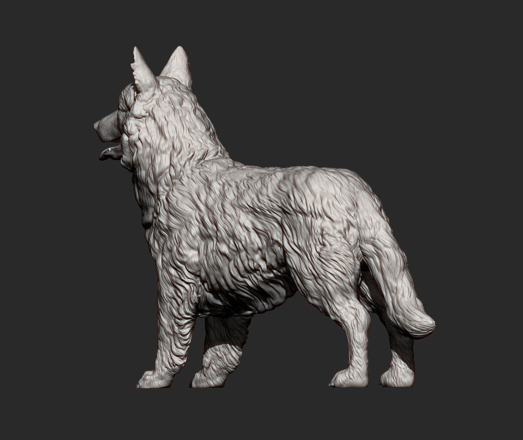 Border Collie 3D Print Model by Alexander3dart