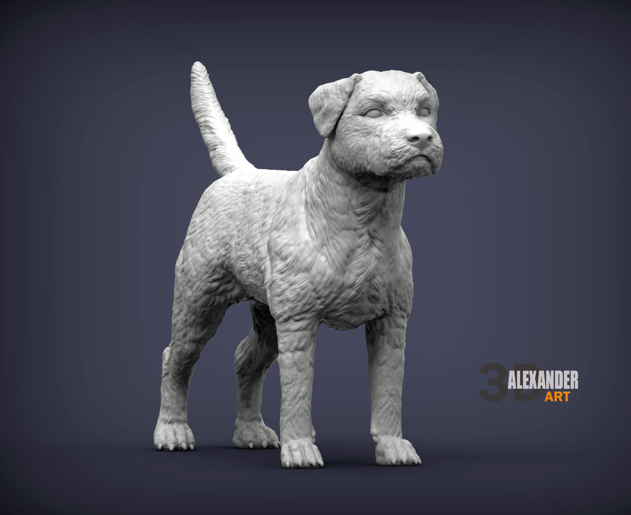 Border Terrier 3D Print Model by Alexander3dart