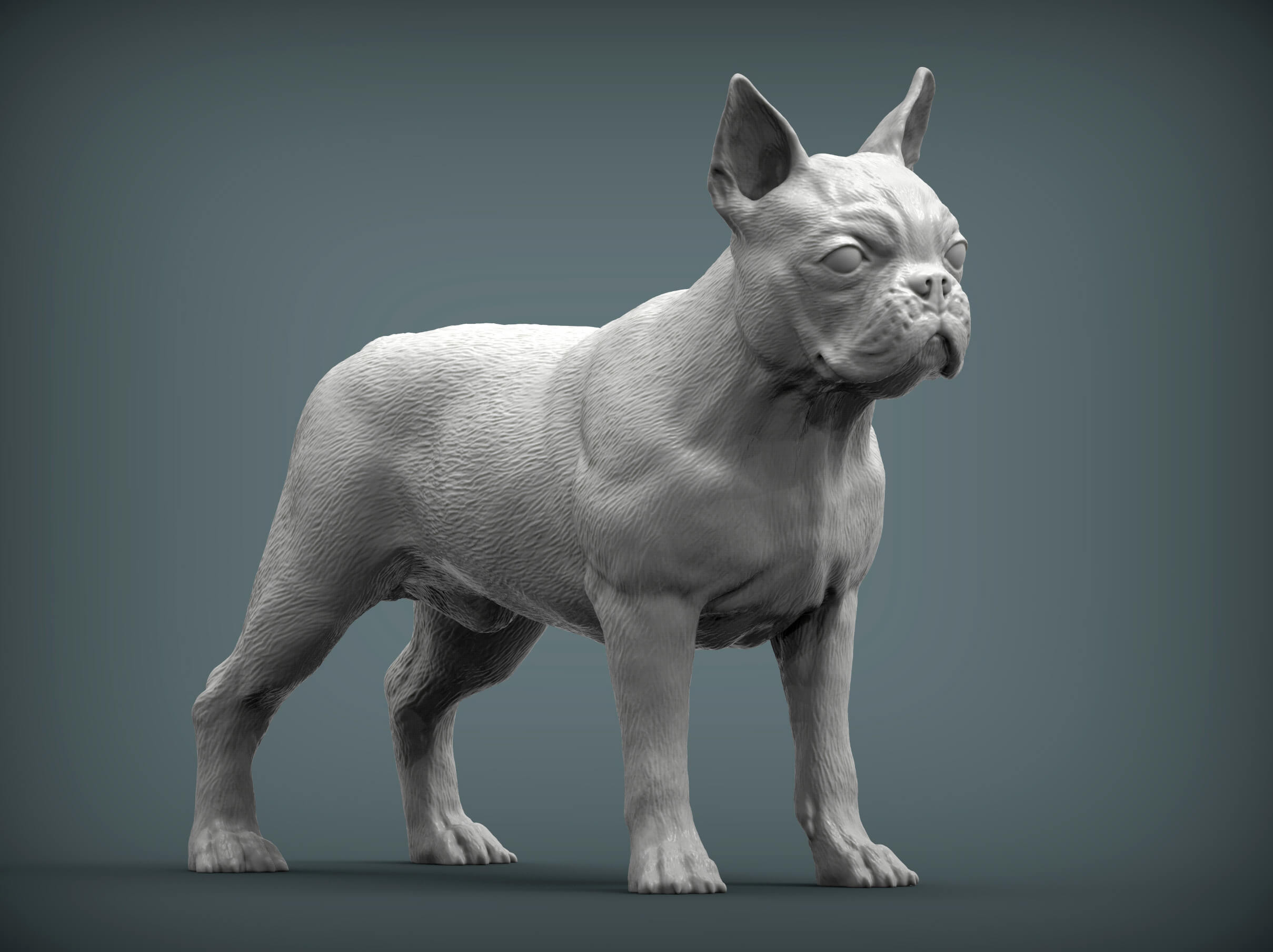 Boston Terrier 3D Print Model by Alexander3dart